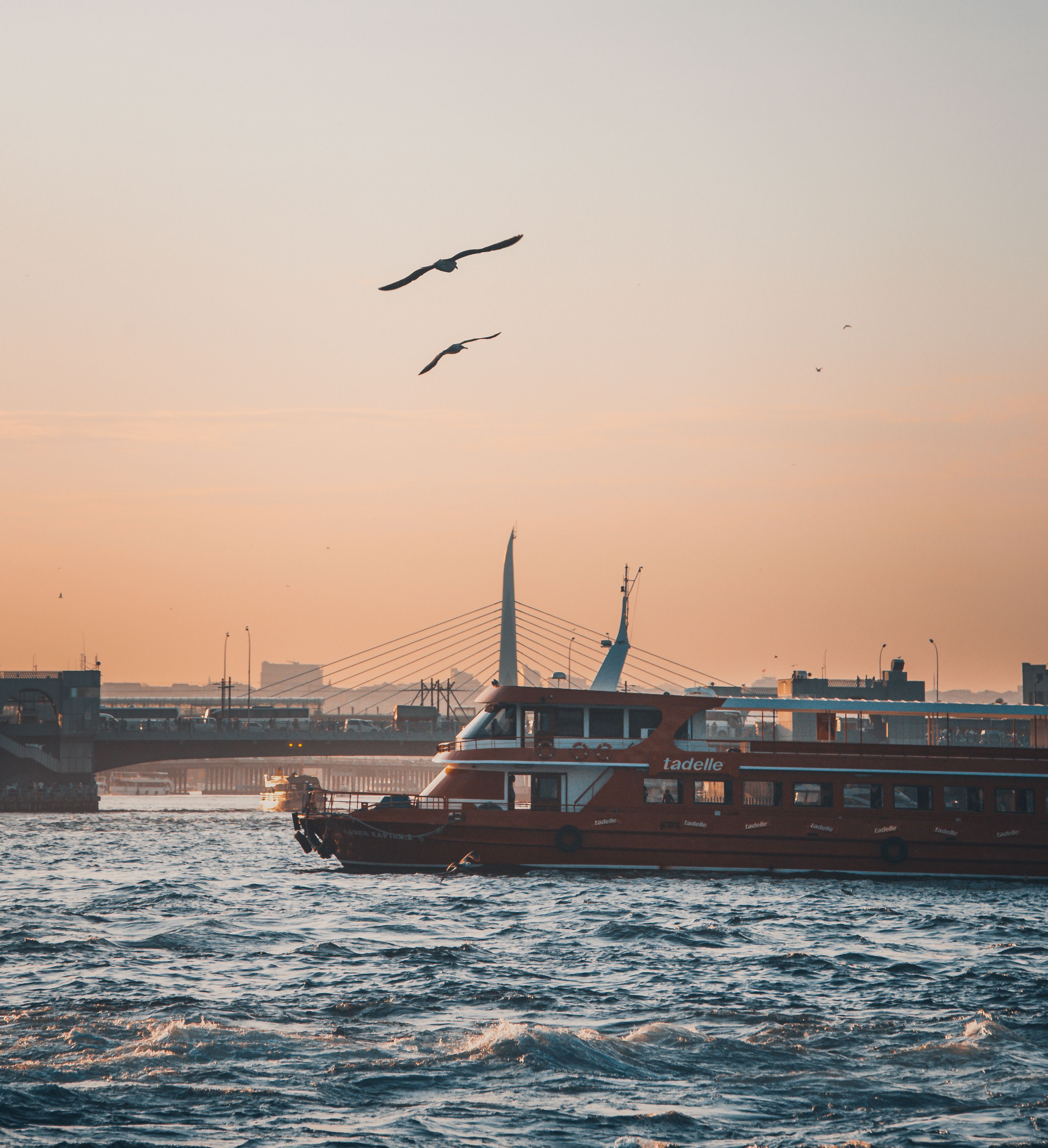 Brown Ferry Boat on Ocean · Free Stock Photo