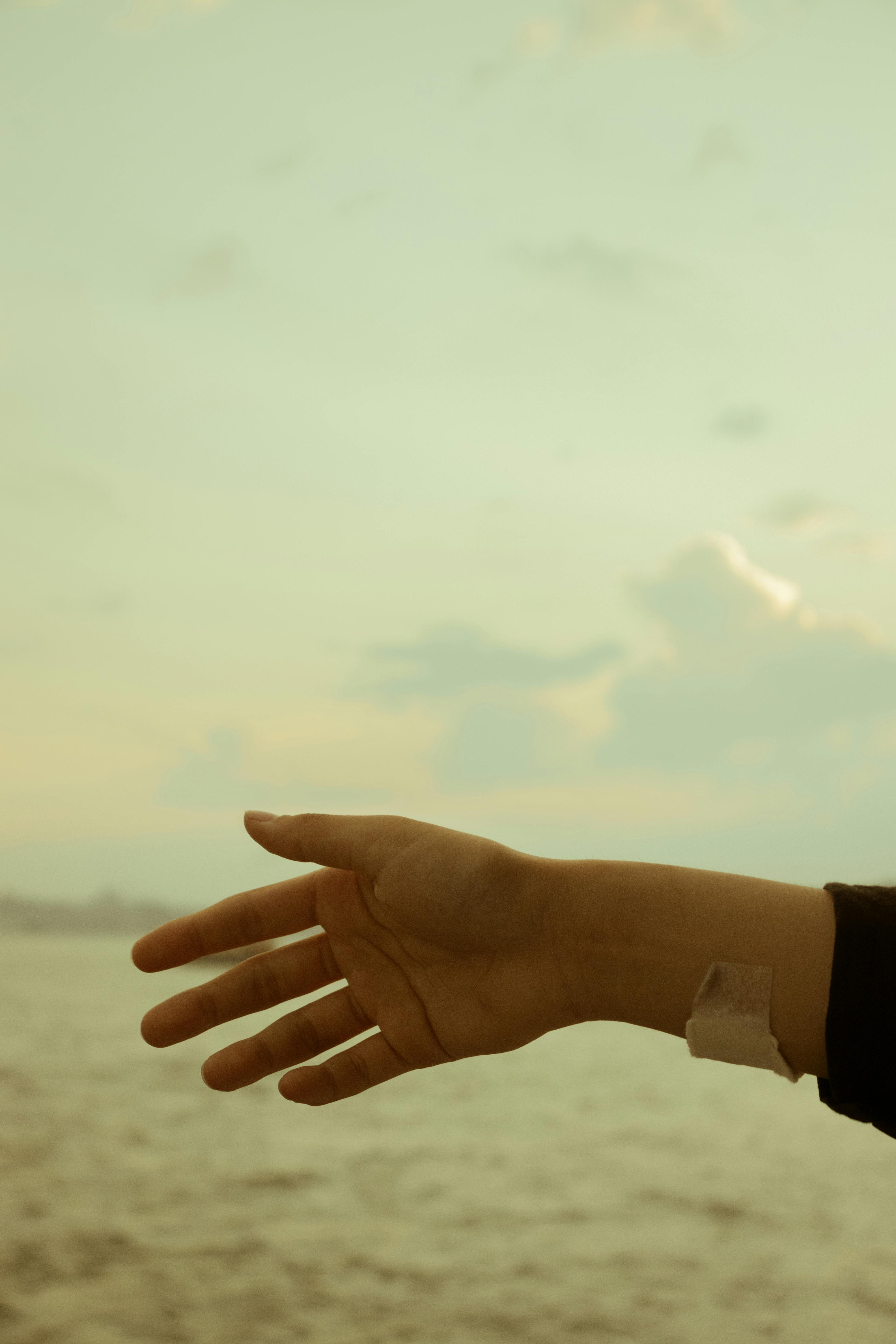 Close Up Shot of Human Hand · Free Stock Photo