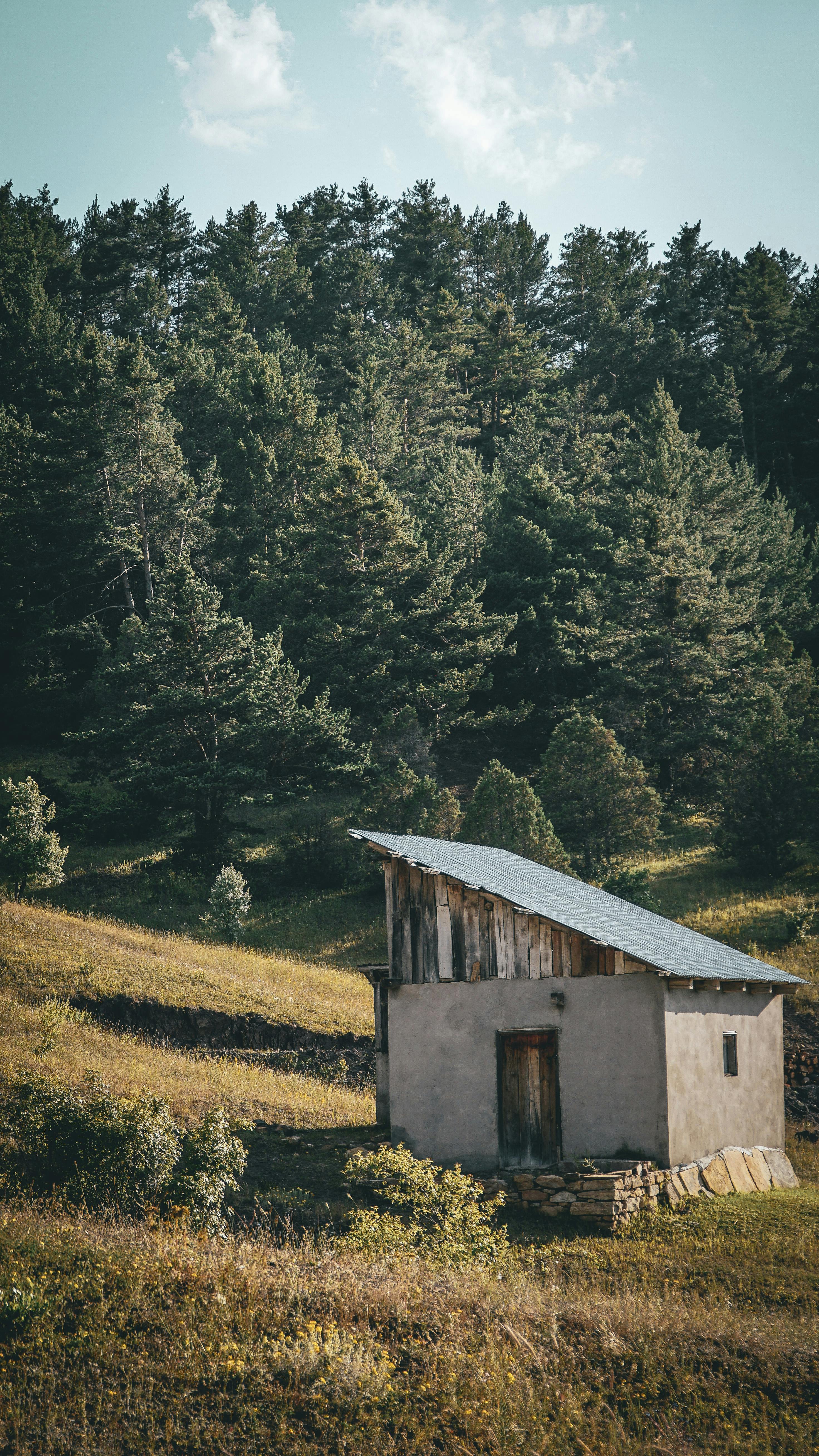 Charming Cottage in Fall Forest Setting · Free Stock Photo