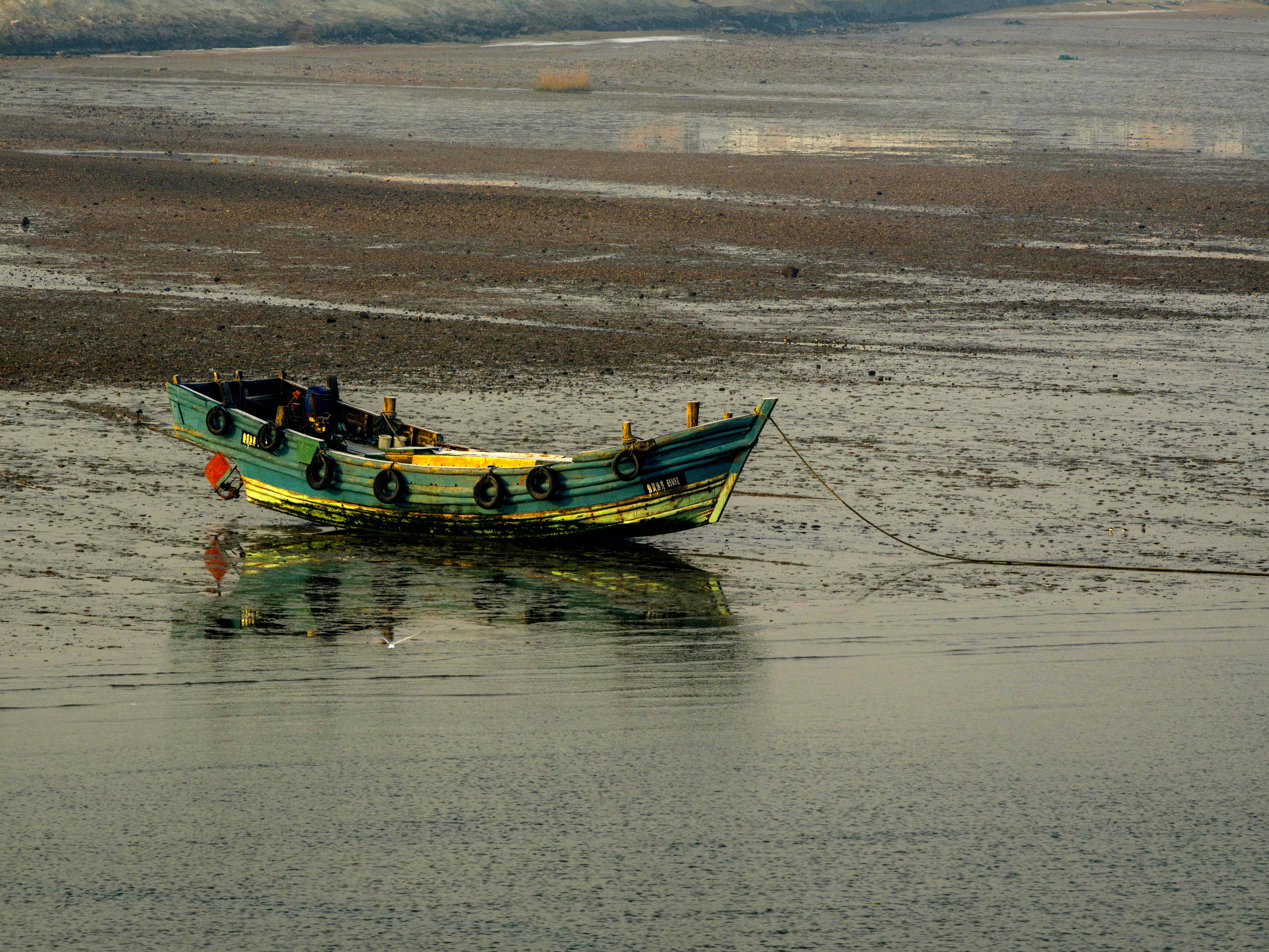 Boat on Shore · Free Stock Photo