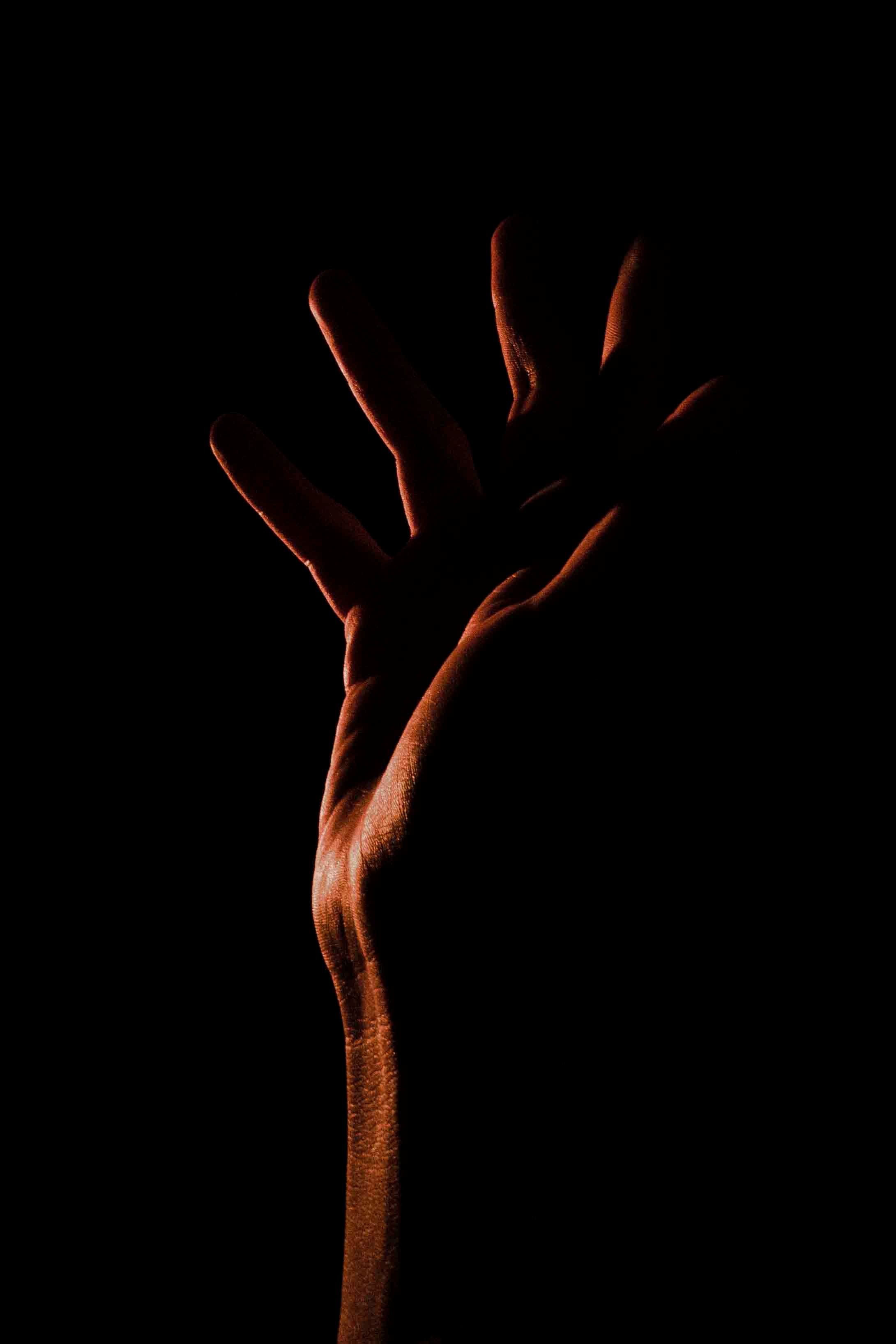 Close Up Photo of a Hand · Free Stock Photo