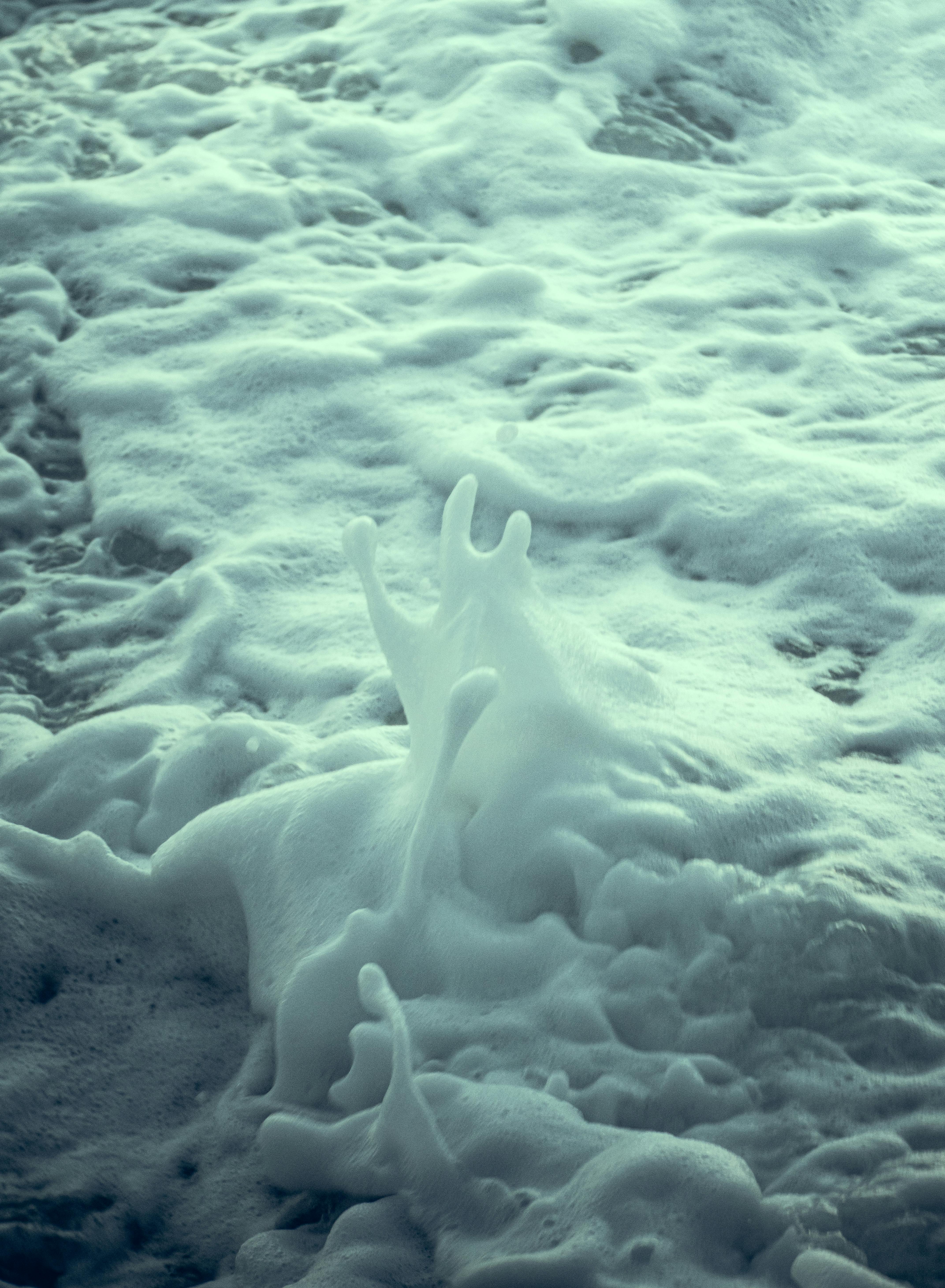 Close Up Photo of Seafoam · Free Stock Photo