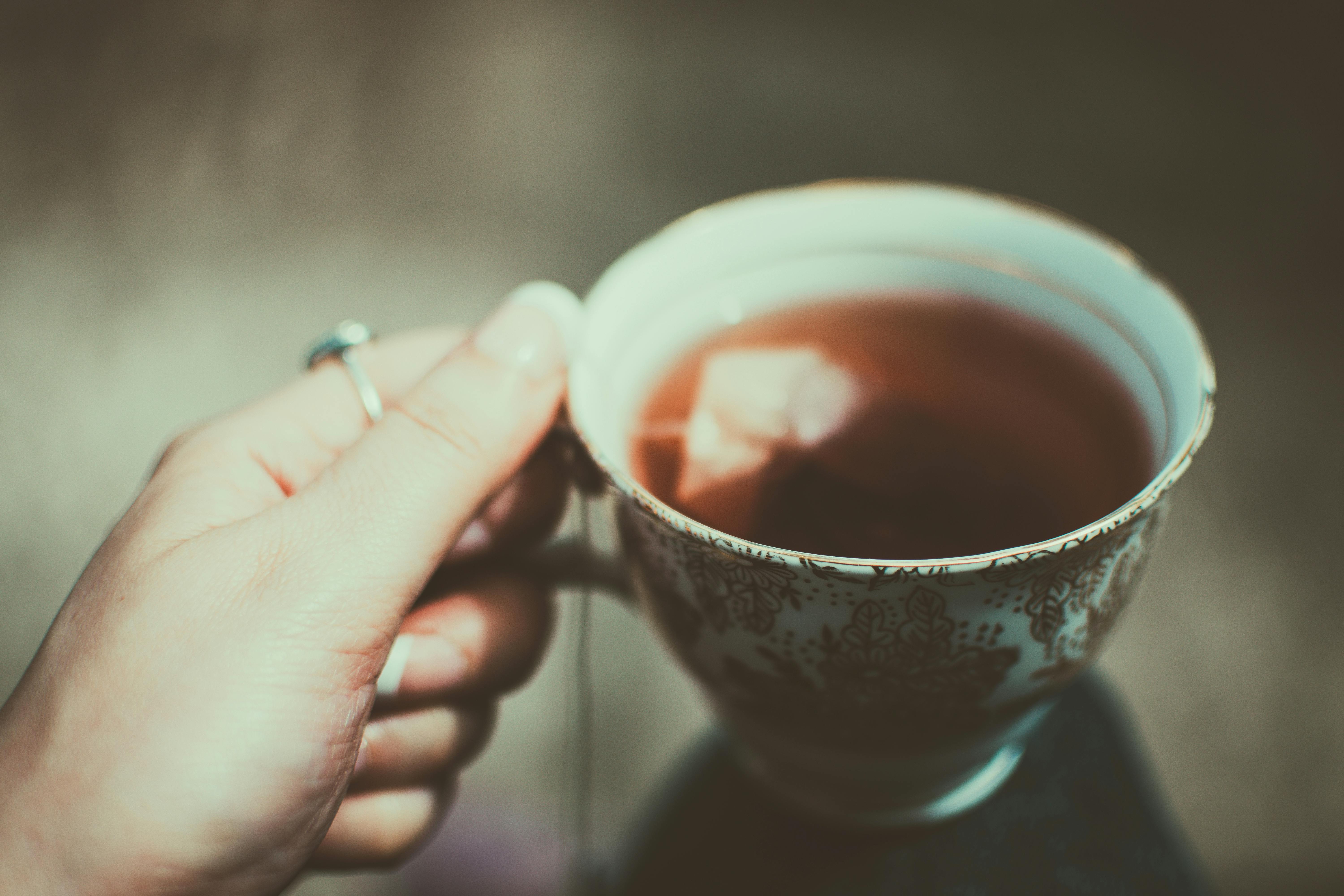 Person Holding Tea Cup · Free Stock Photo