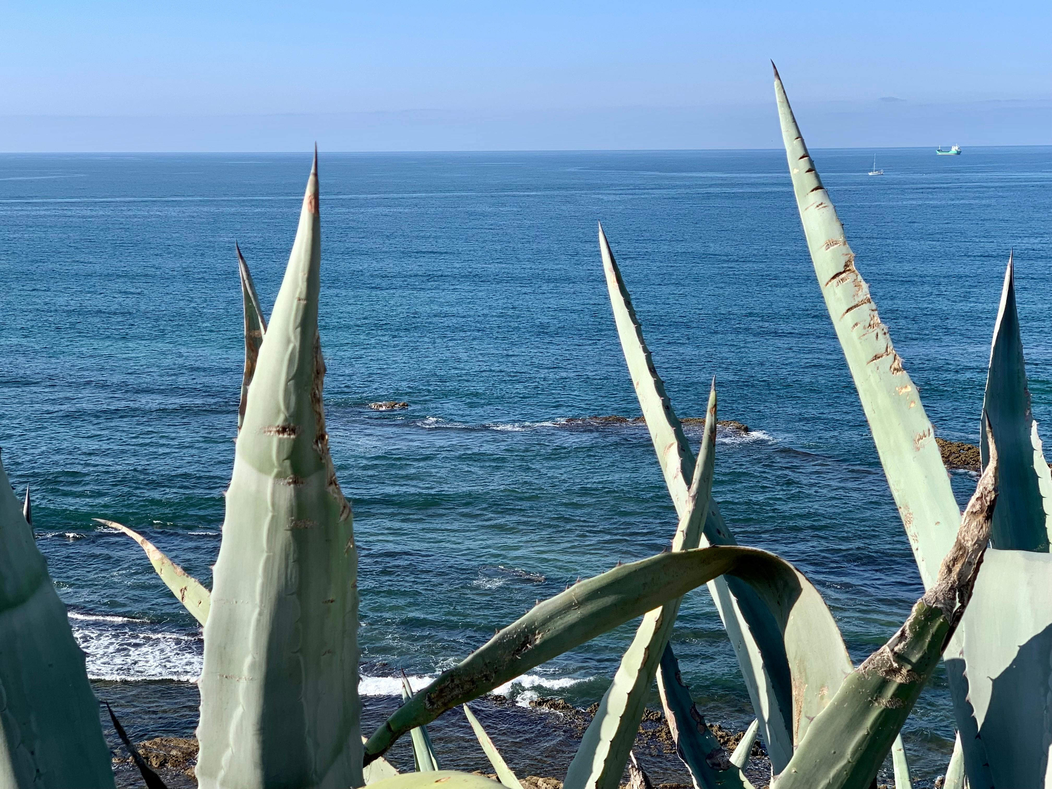 Praia da Parede (Parede, Portugal) 54 Photos & Videos Collected by ...