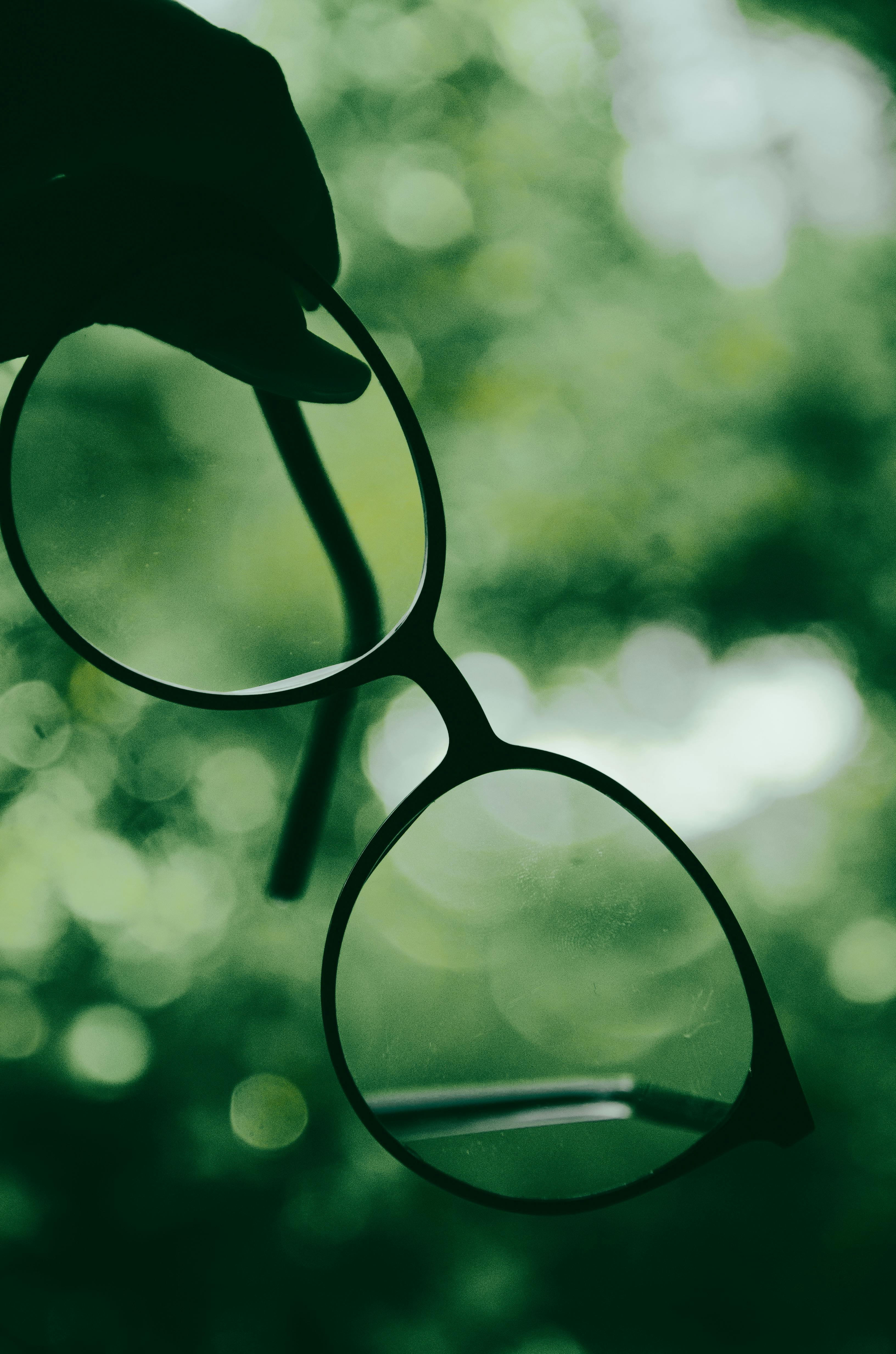 Foto de stock gratuita sobre accesorio, al aire libre, arboles ...