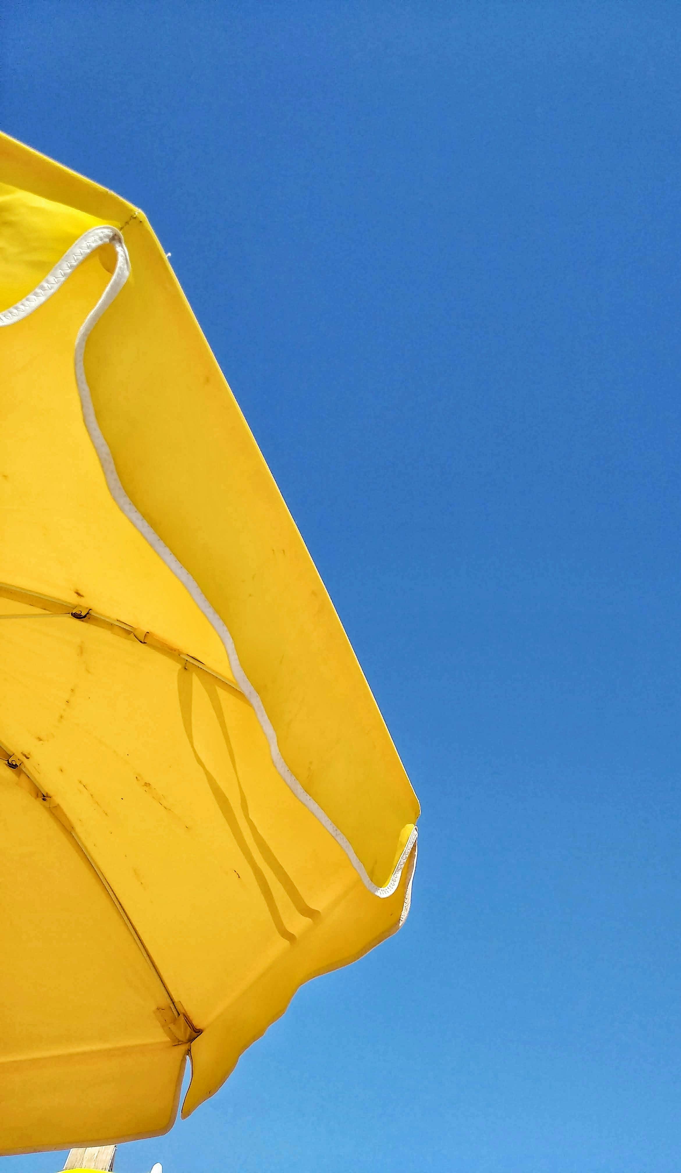 Jose Luis Guzman - 사진