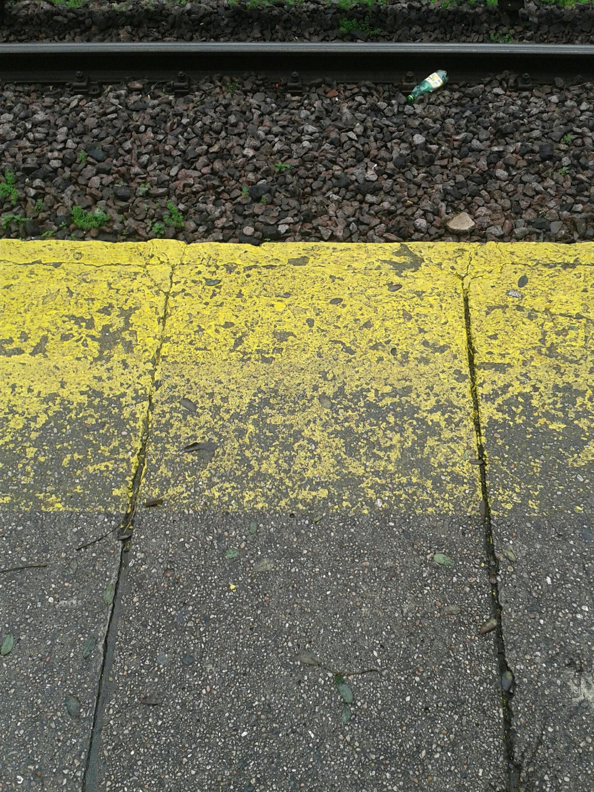 Jose Luis Guzman - 사진