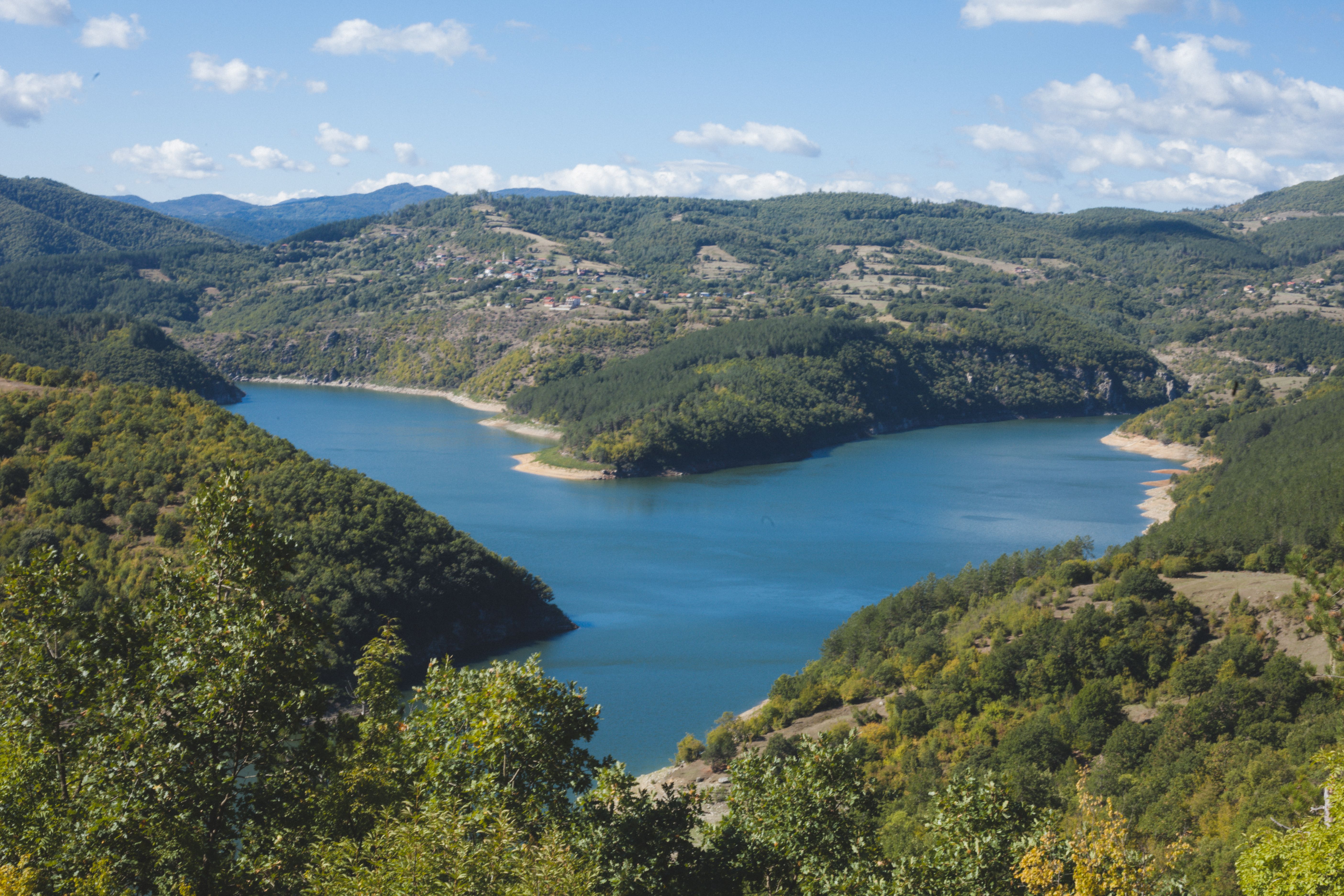 Large Lake in the Middle of the Forest · Free Stock Photo