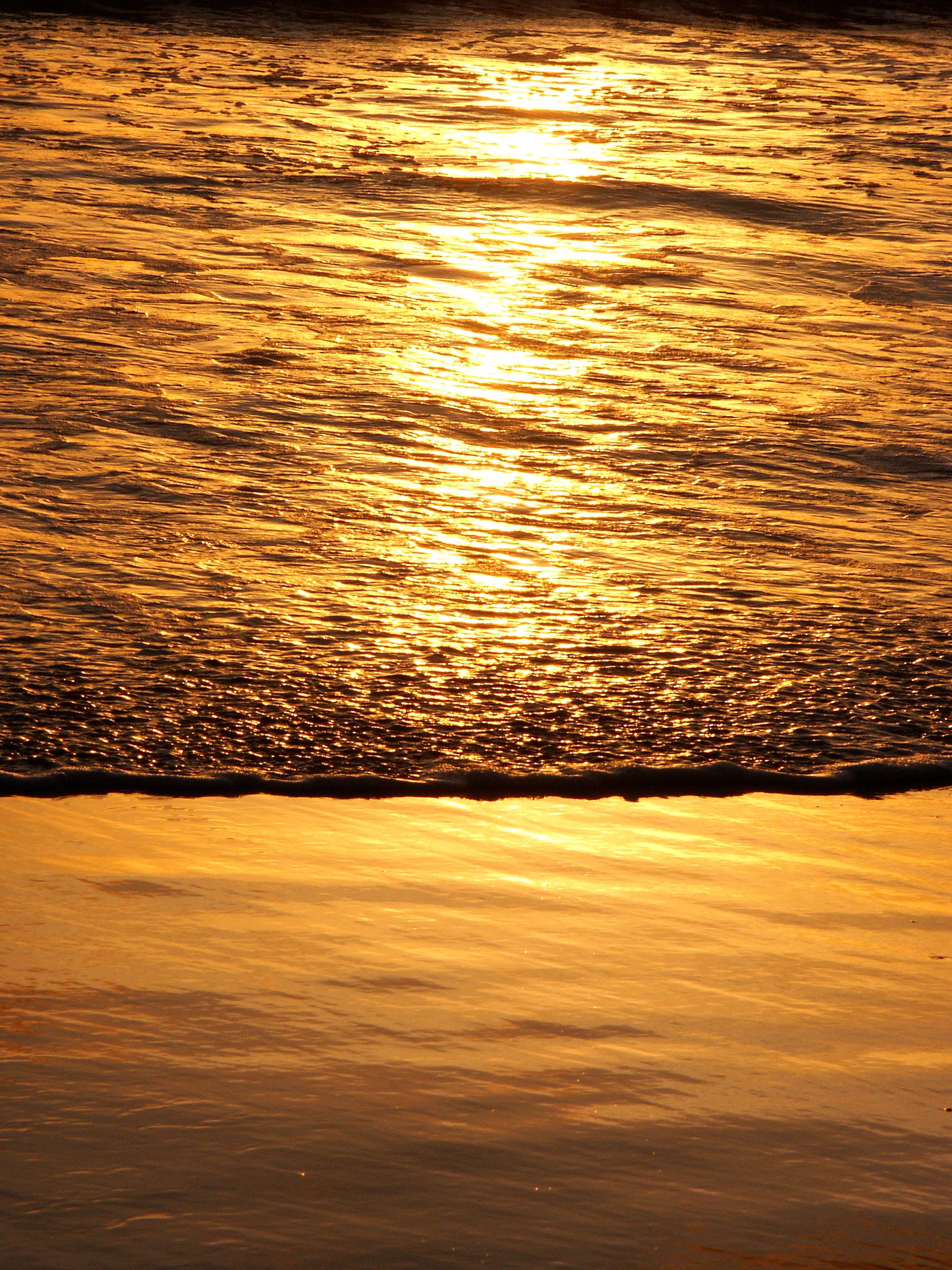 Sunlight Reflecting in Water · Free Stock Photo