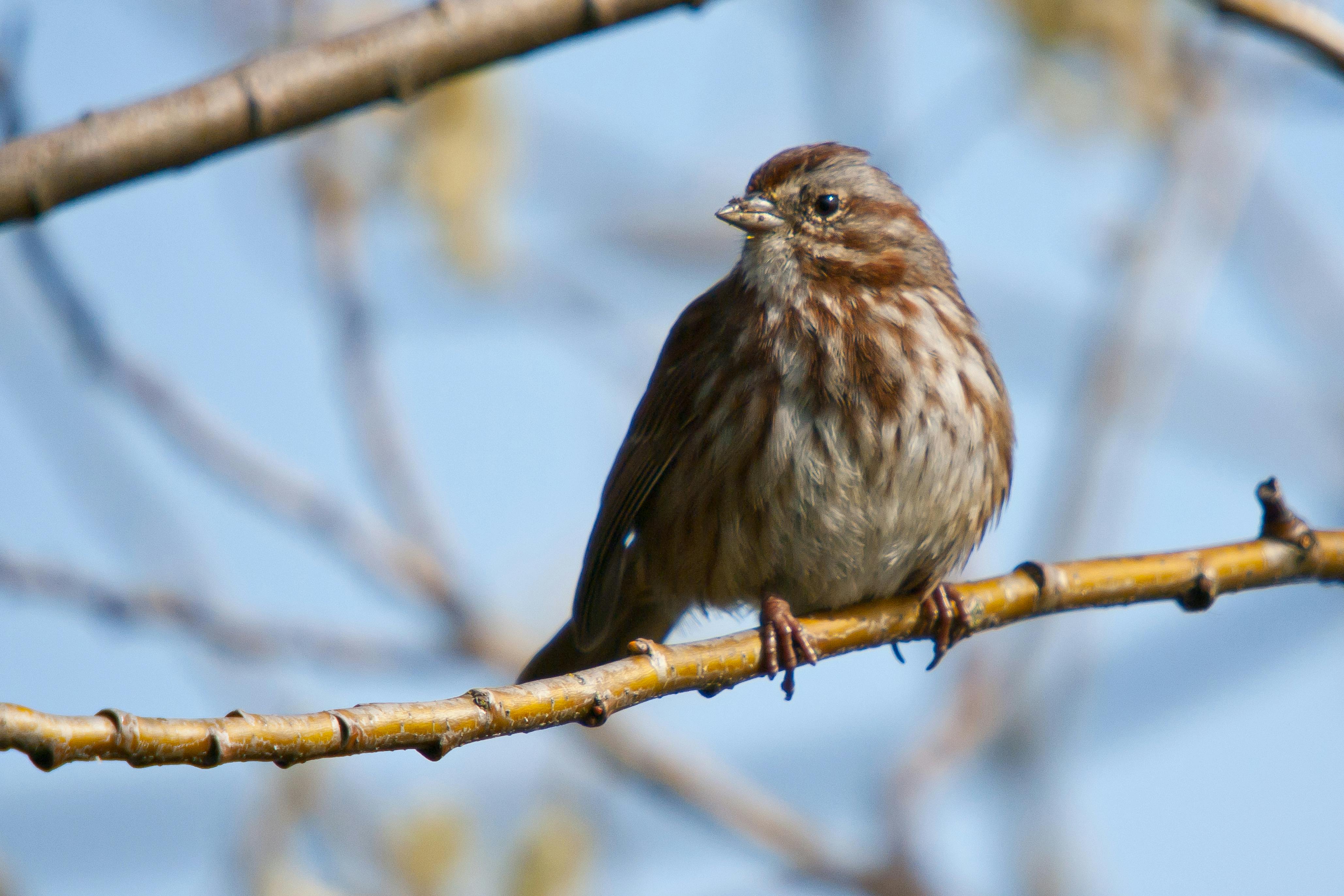 Colin Jones - 摄影