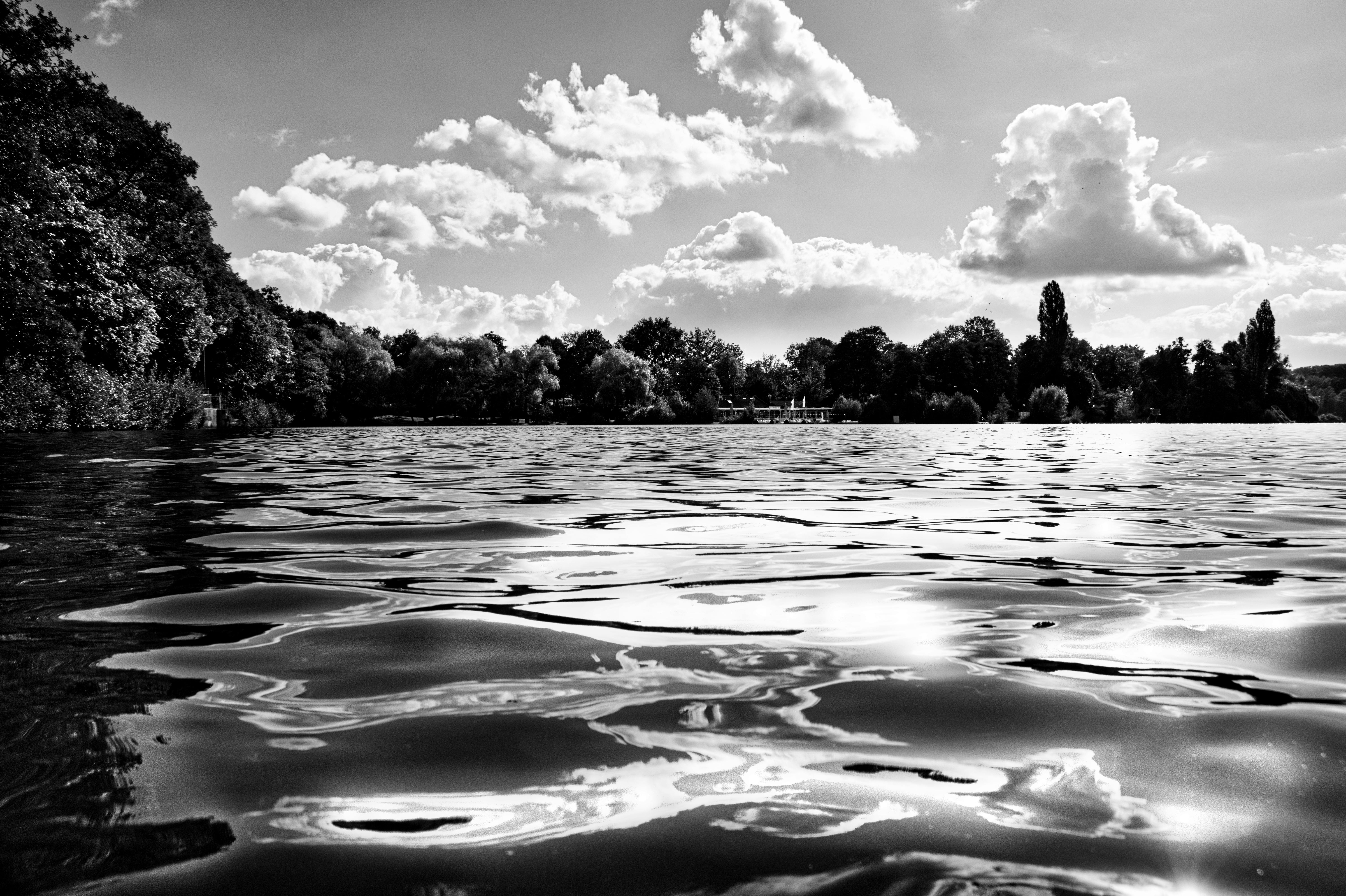 Grayscale Photo of Body of Water · Free Stock Photo