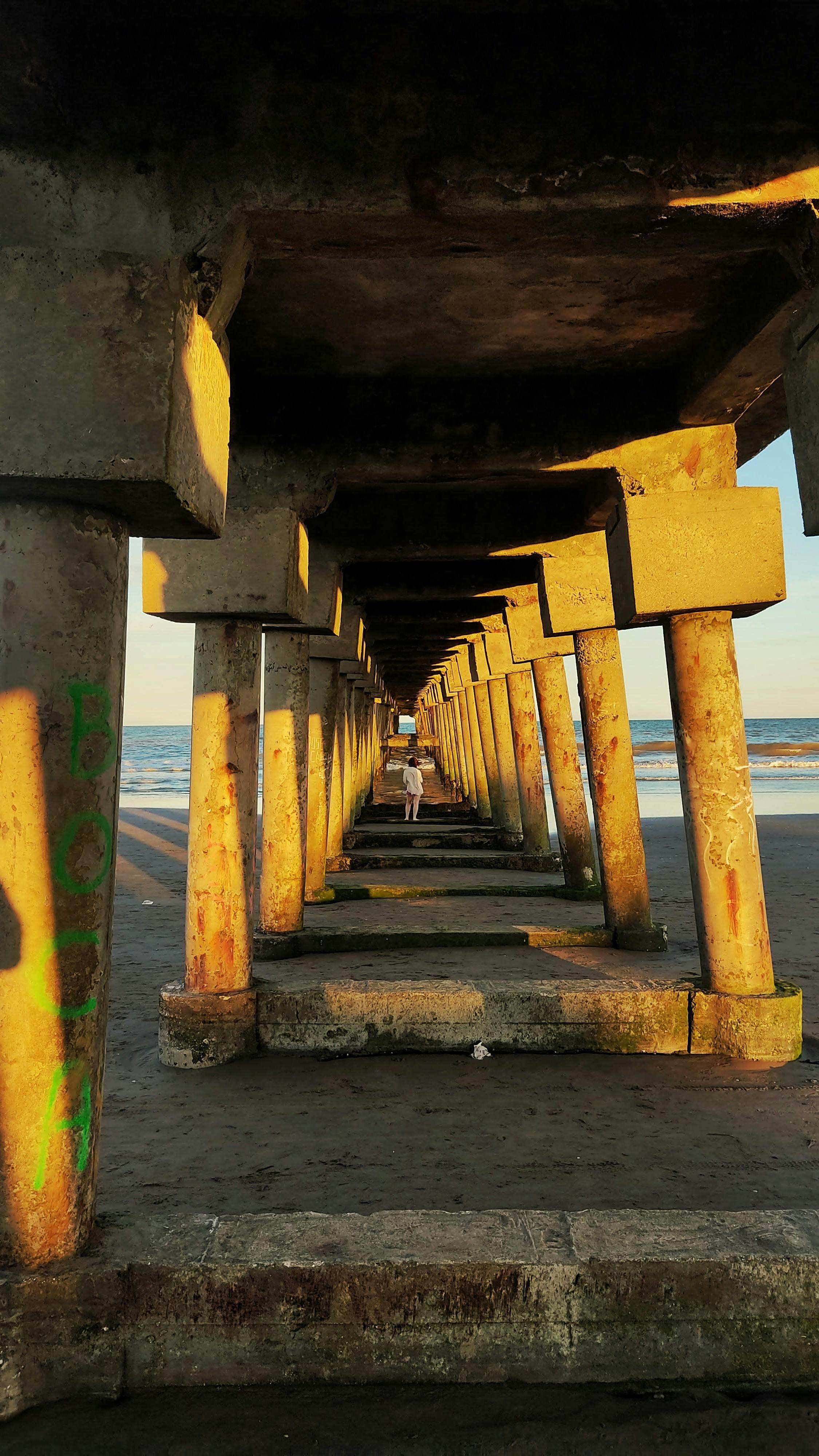 Jose Luis Guzman - 사진