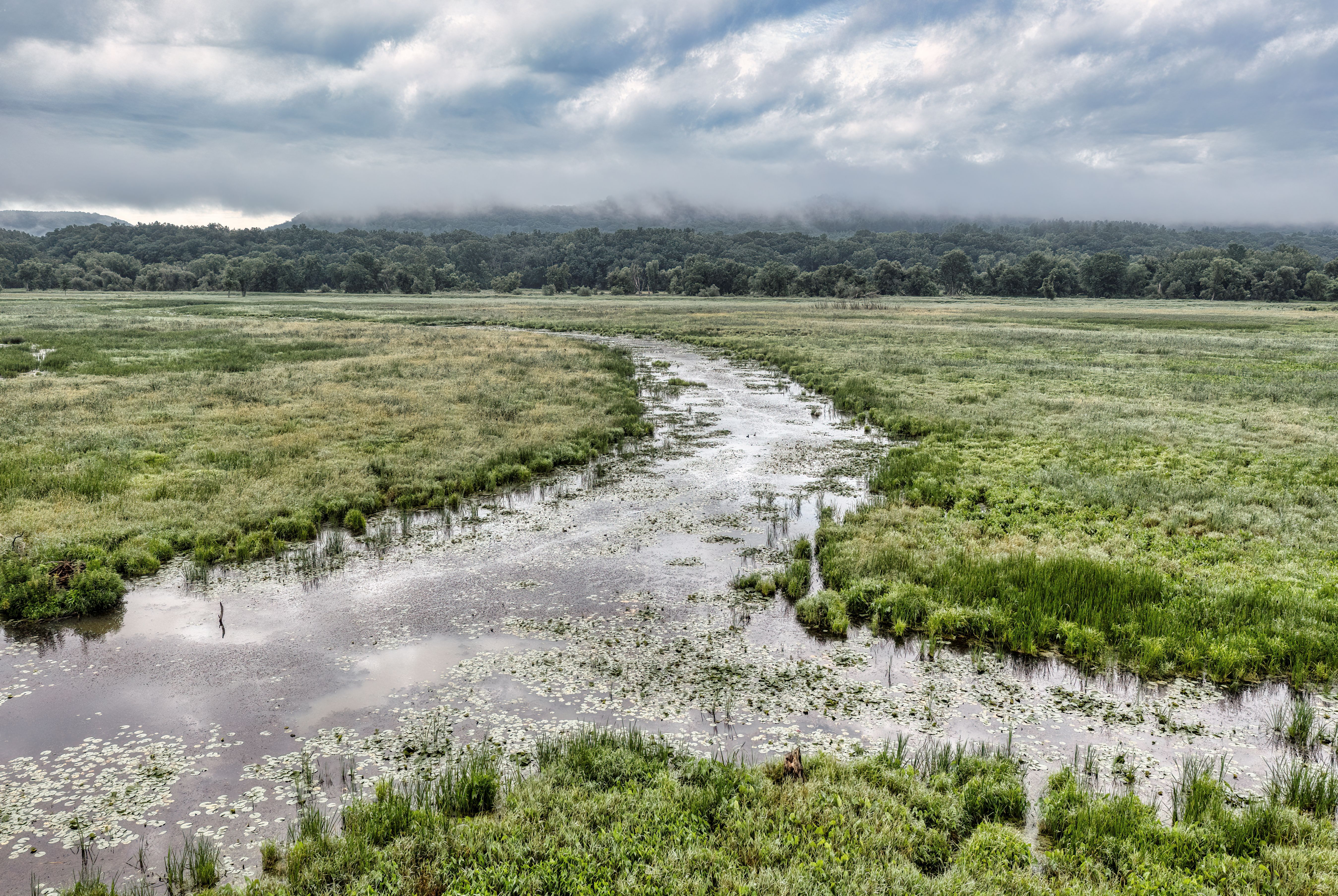 Green Grass Field Near River Under White Clouds · Free Stock Photo