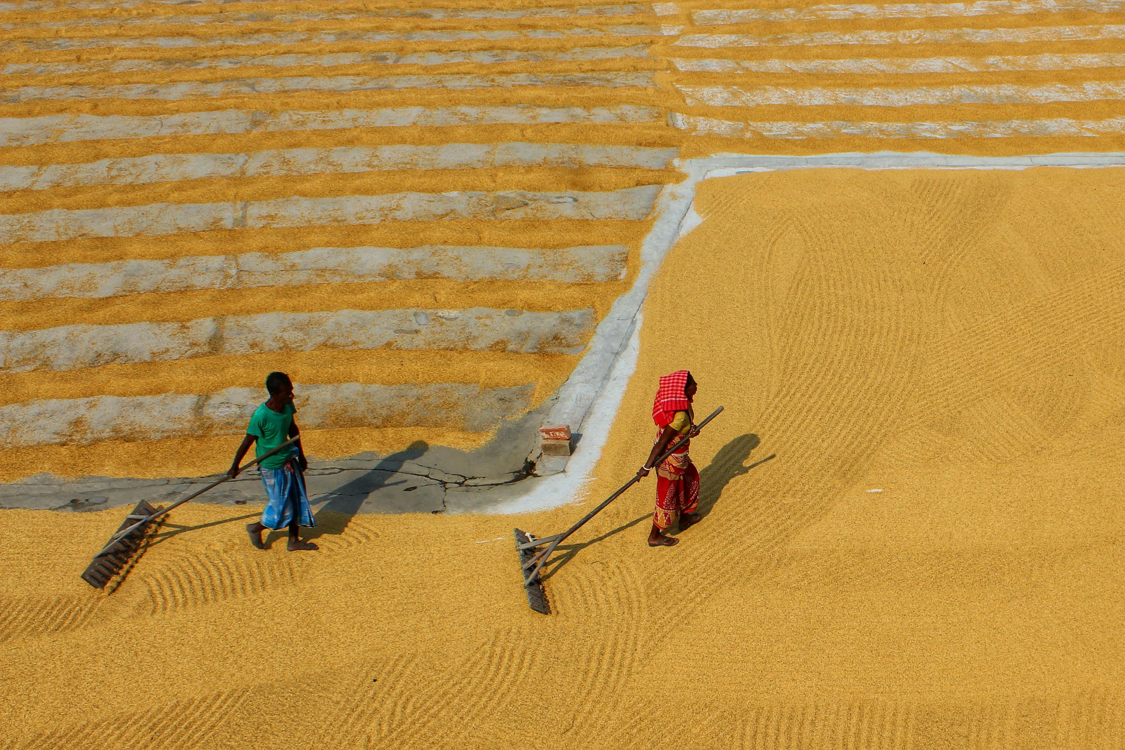 Rice Mill Photos, Download The BEST Free Rice Mill Stock Photos & HD Images