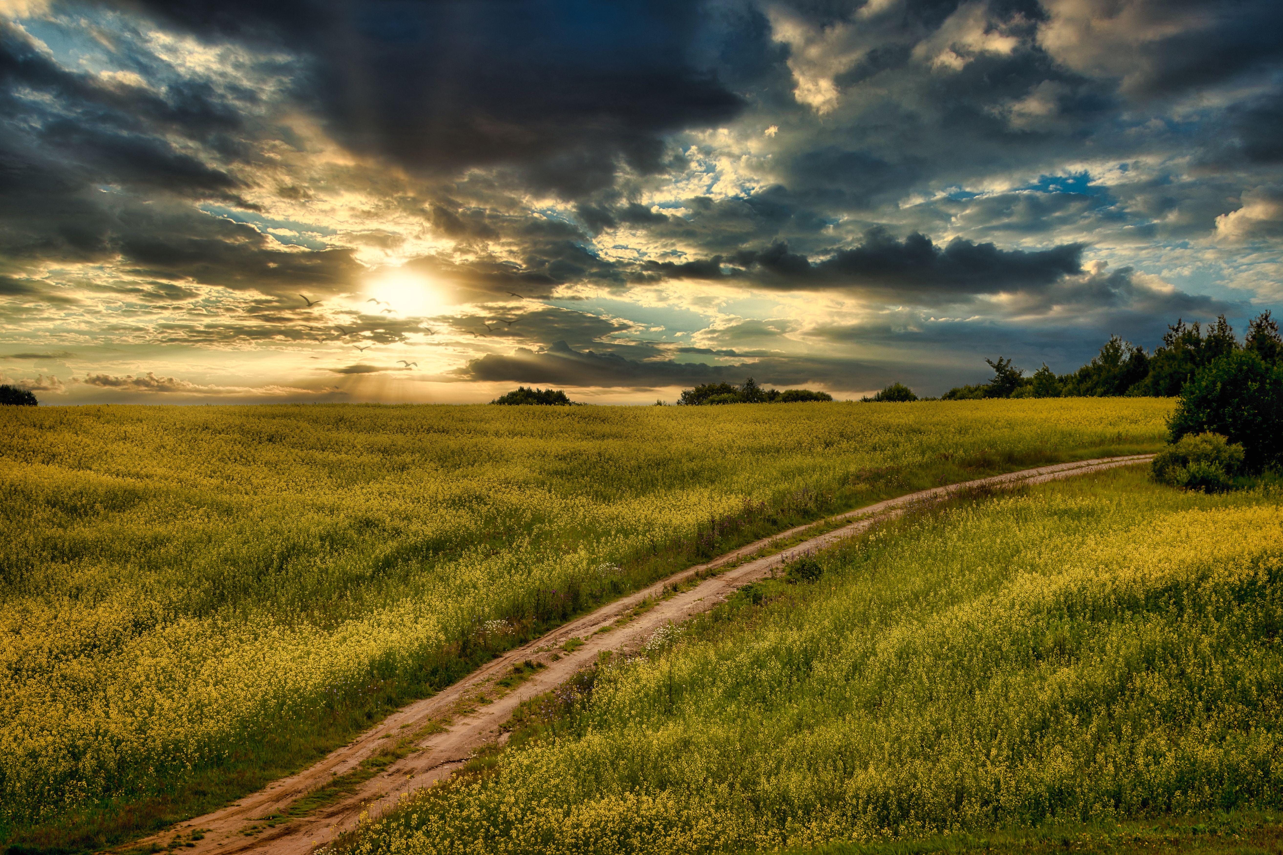 Photo of a Field at Sunset · Free Stock Photo