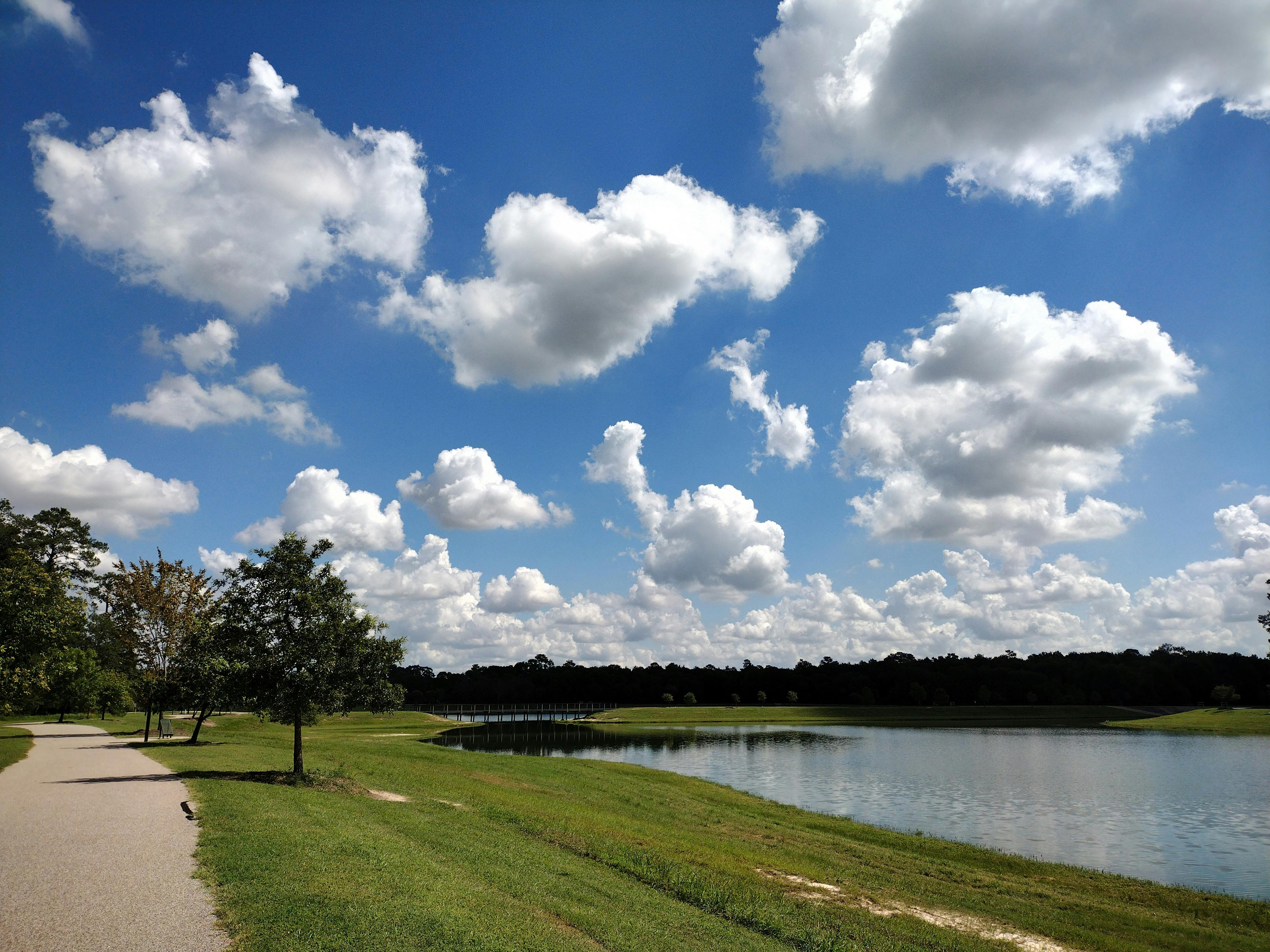 Walkway Beside a Lake · Free Stock Photo