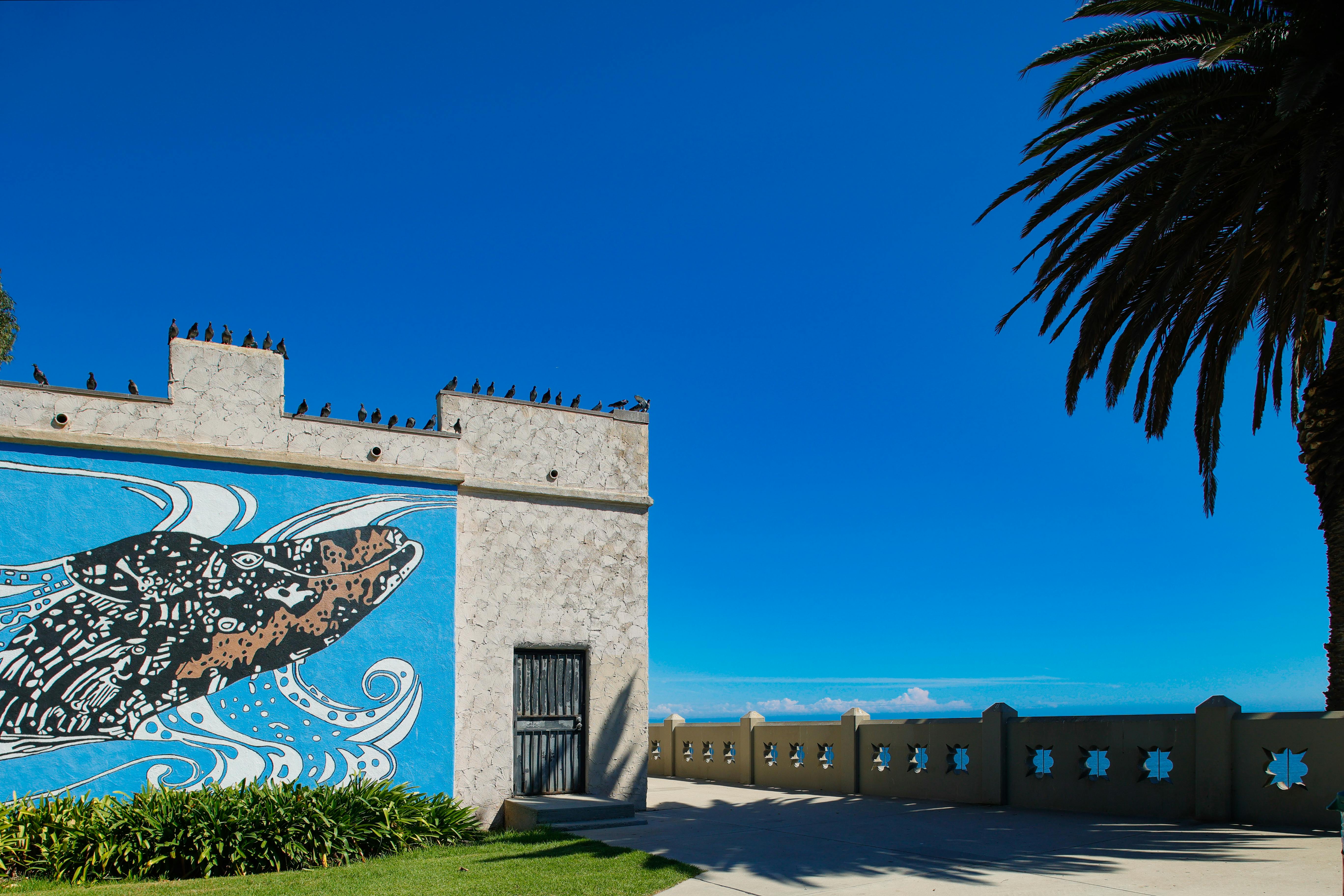 Drawing on Building Wall in Tropical Landscape · Free Stock Photo
