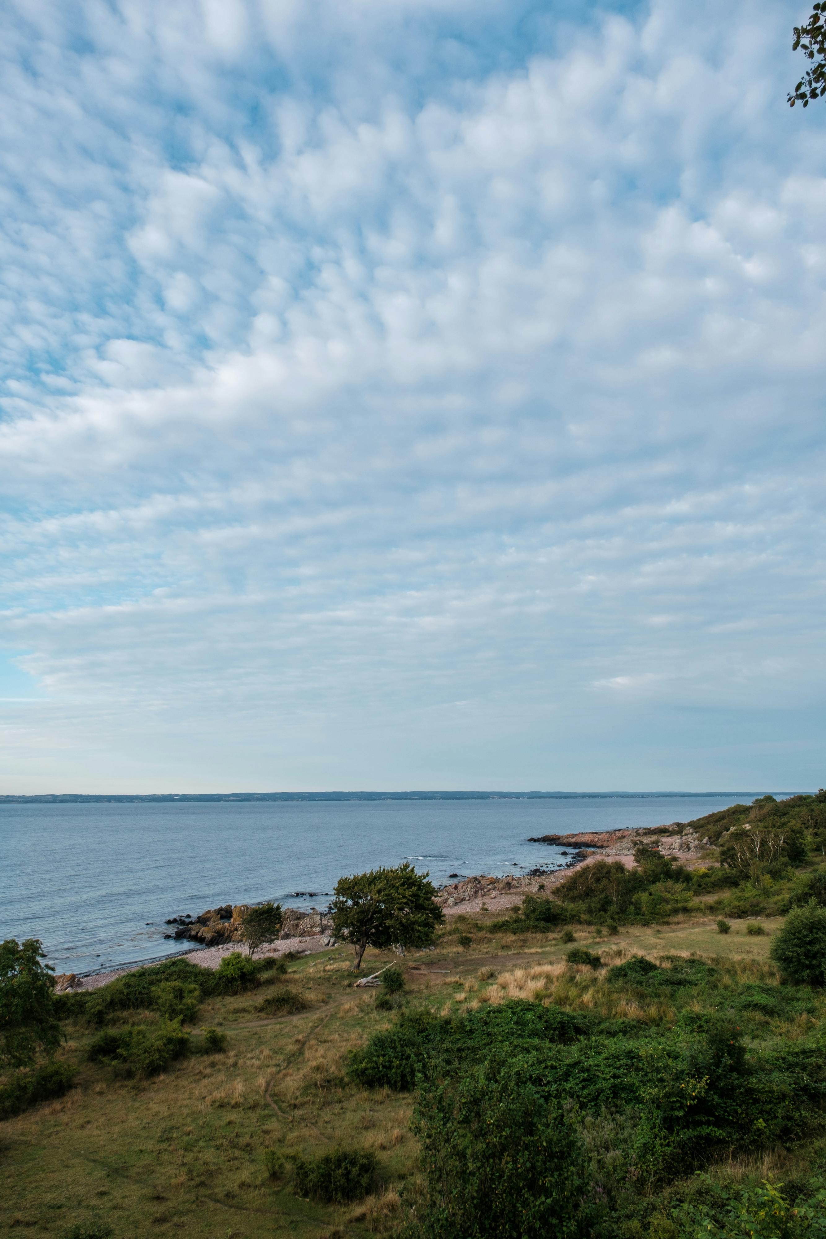 Green Grass Field Near the Sea · Free Stock Photo