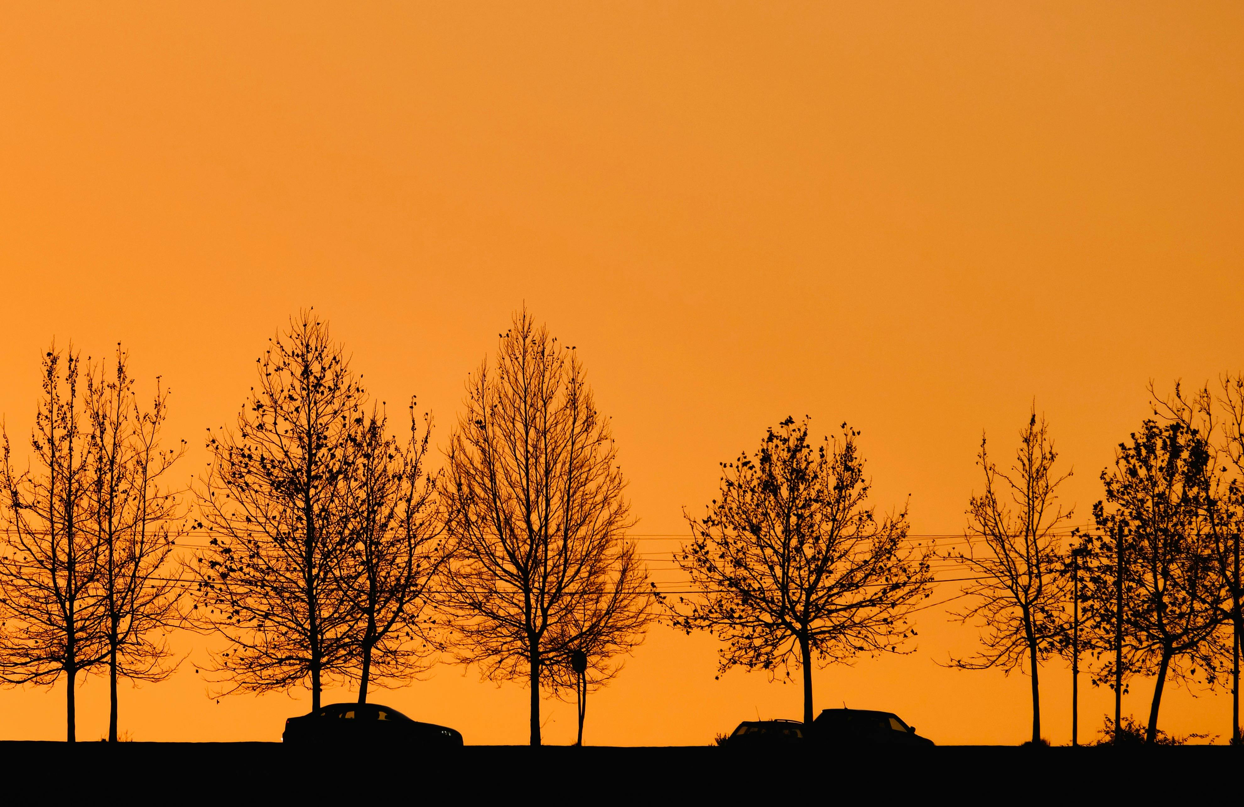 Lotus Temple During Golden Hour · Free Stock Photo