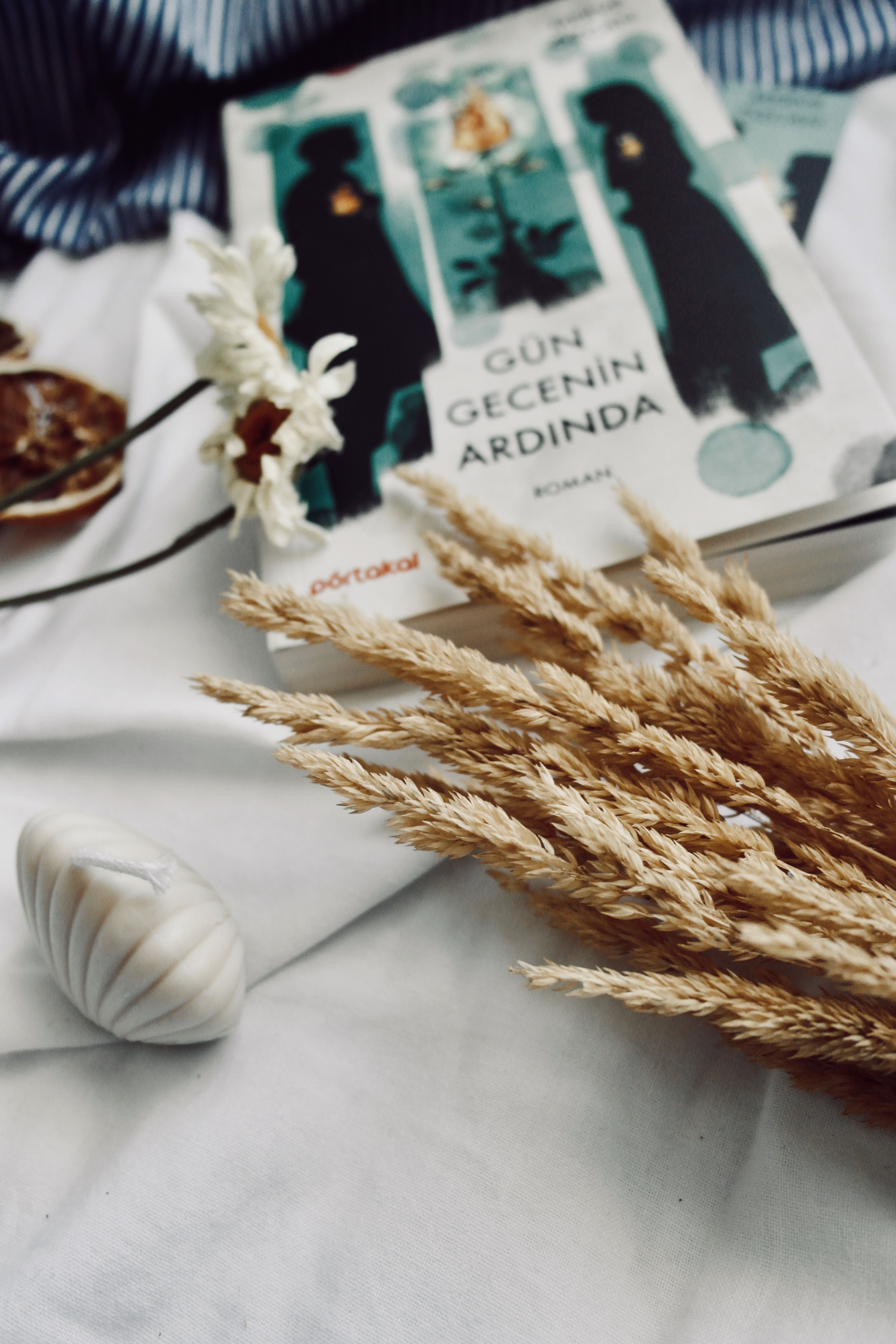 Blades of a Wheat on a Table · Free Stock Photo
