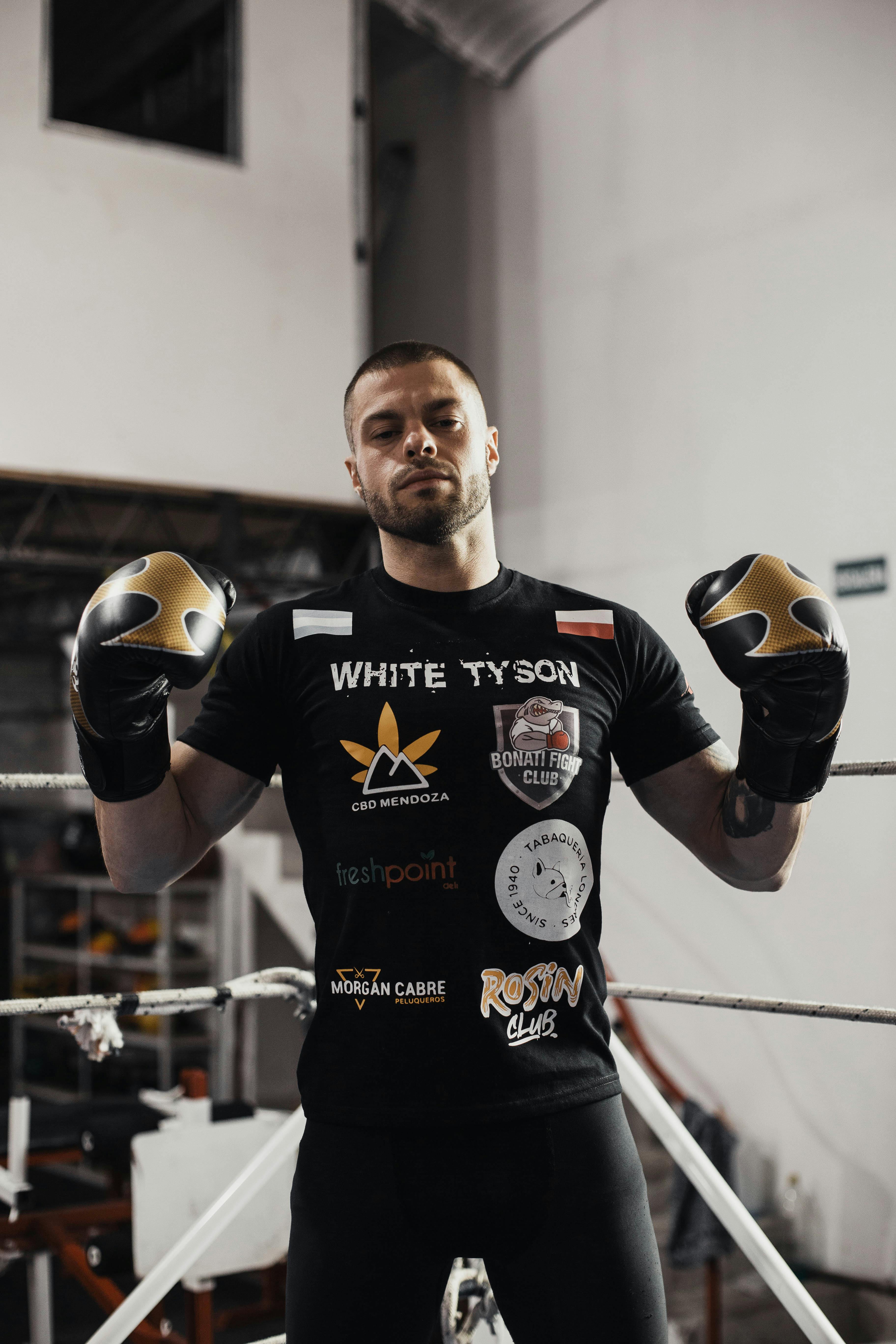 Portrait of Boxer · Free Stock Photo