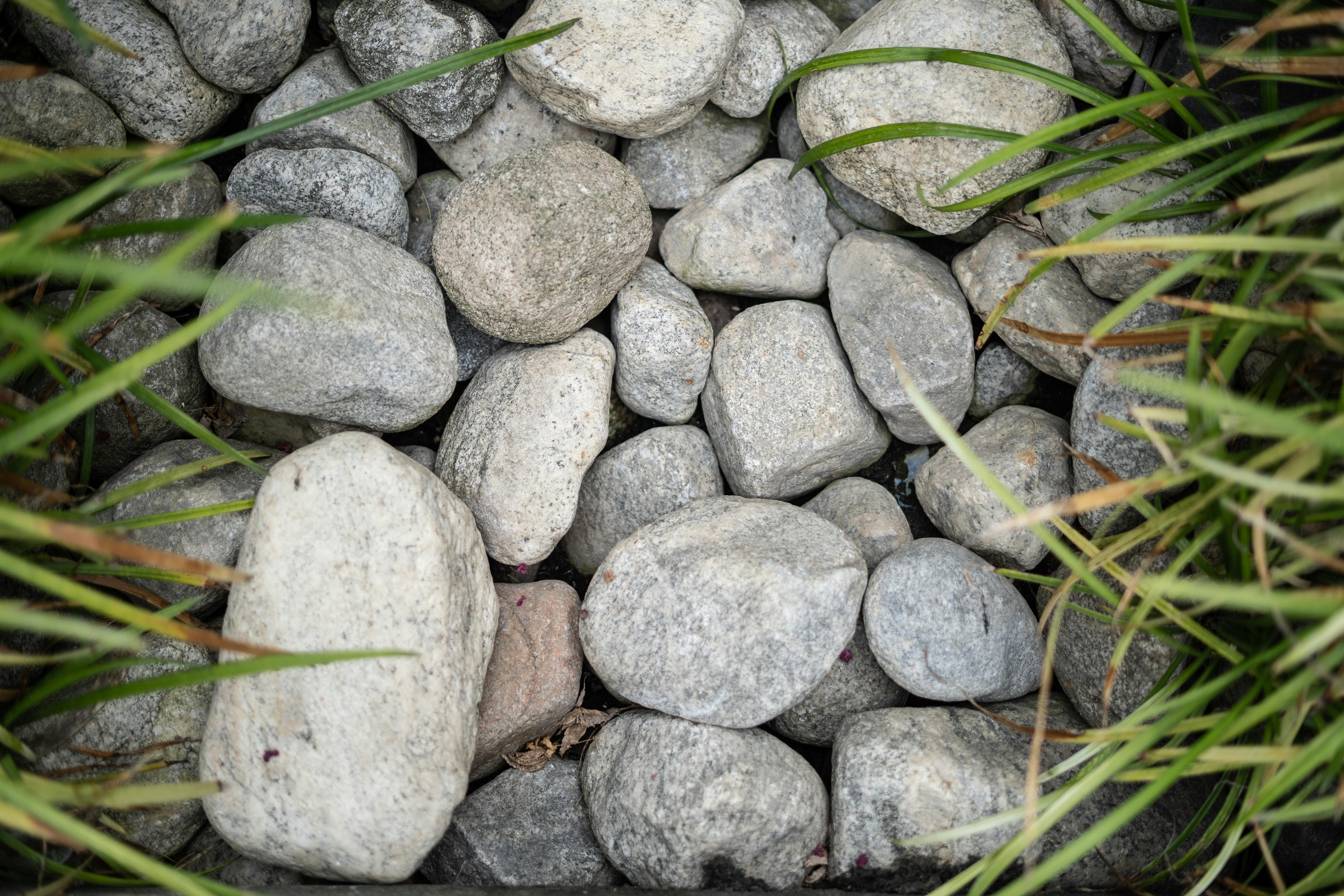Pile of Gray Stones by the Green Grass · Free Stock Photo