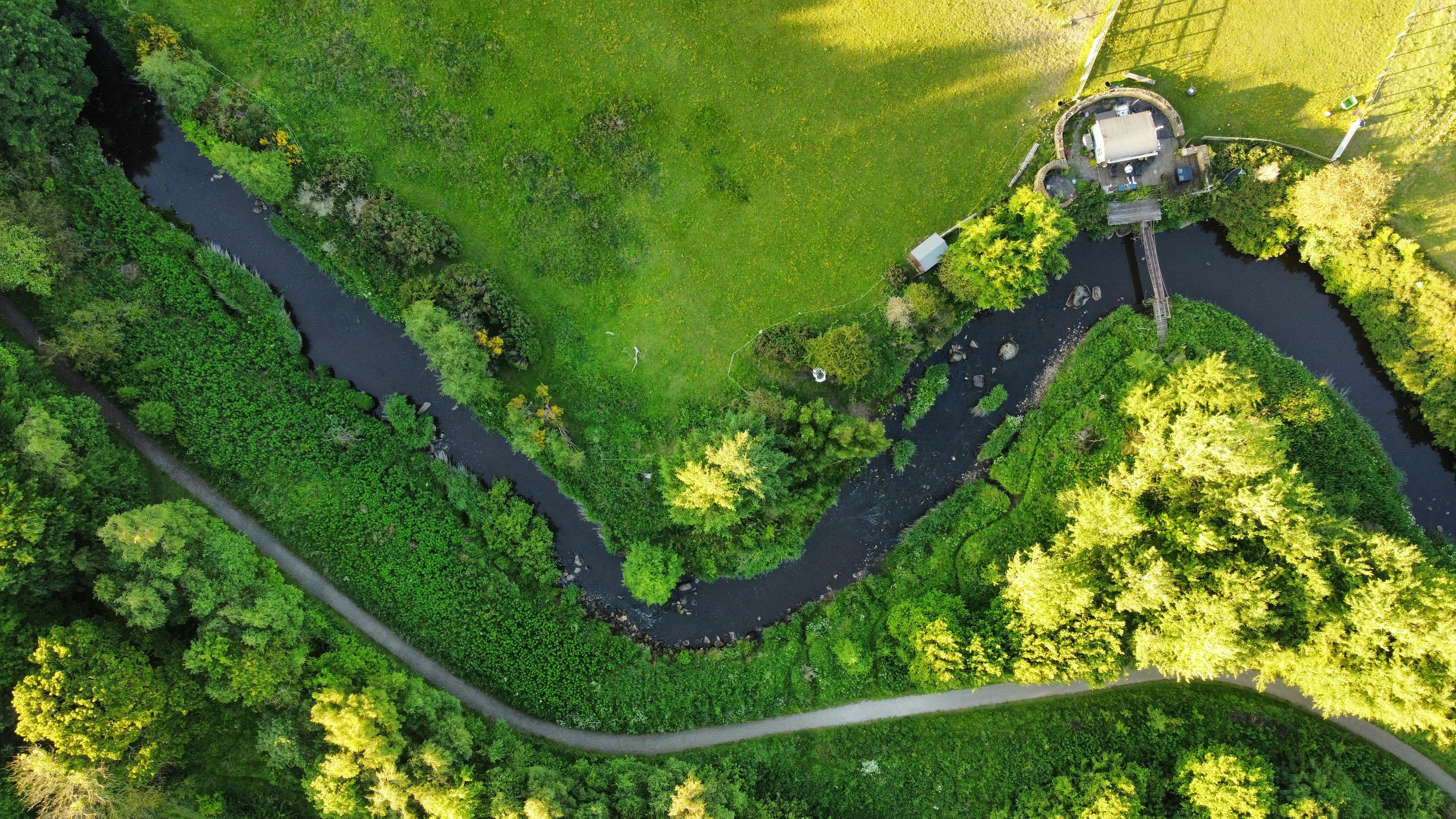 Aerial Footage of River Meanders and Green Trees · Free Stock Photo