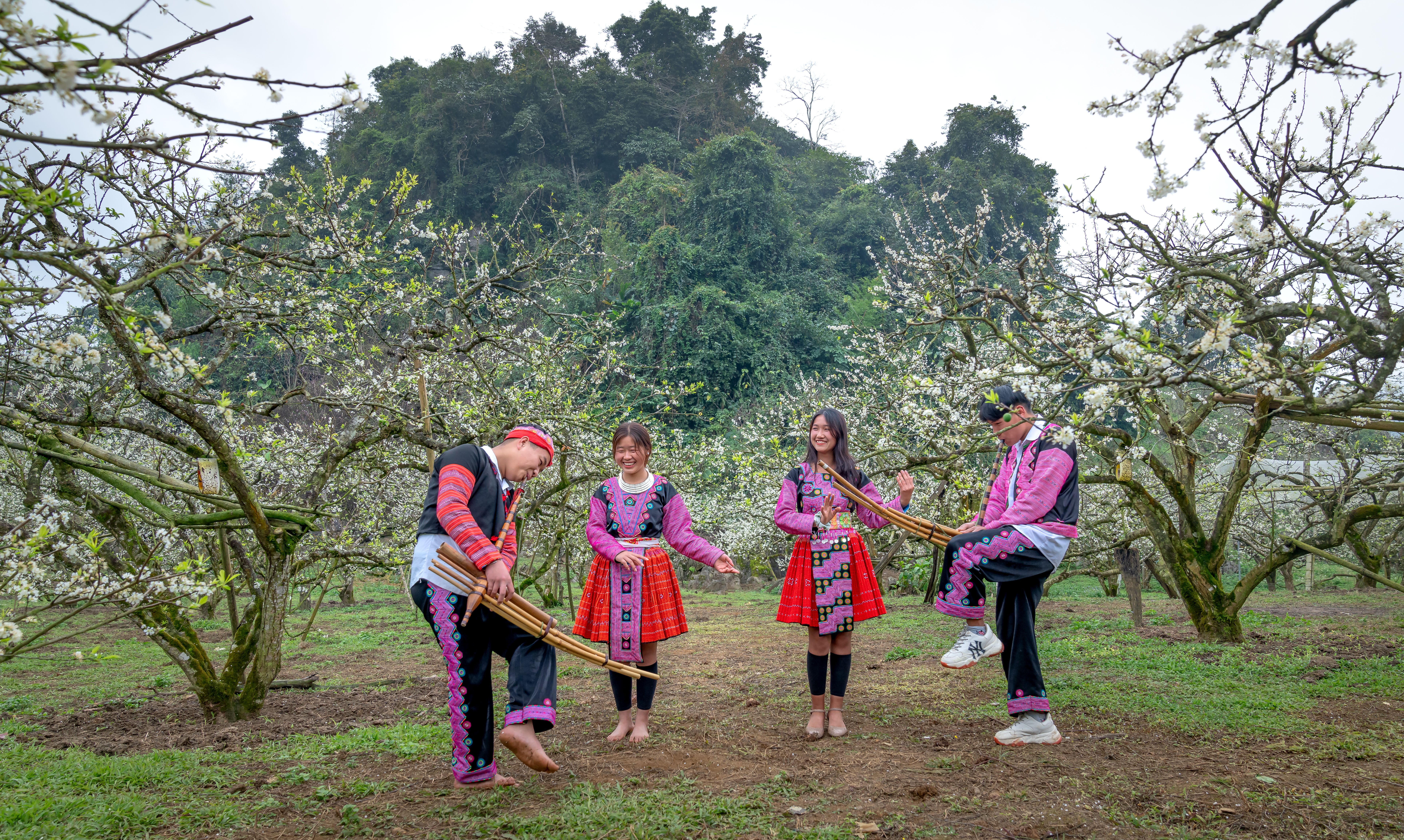 People in Traditional Costumes Dancing in Garden · Free Stock Photo