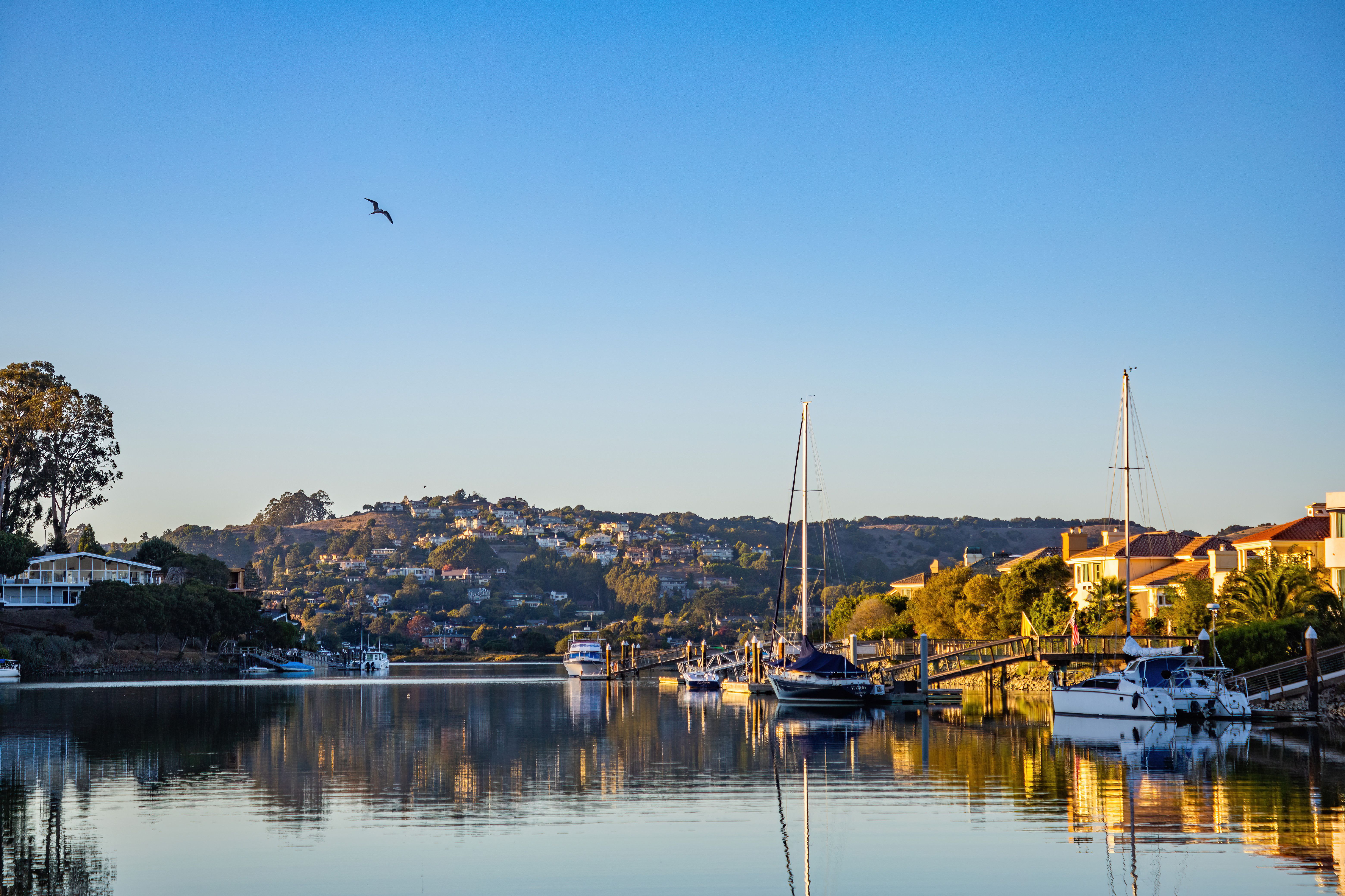 Scenic Photo of Waterfront · Free Stock Photo