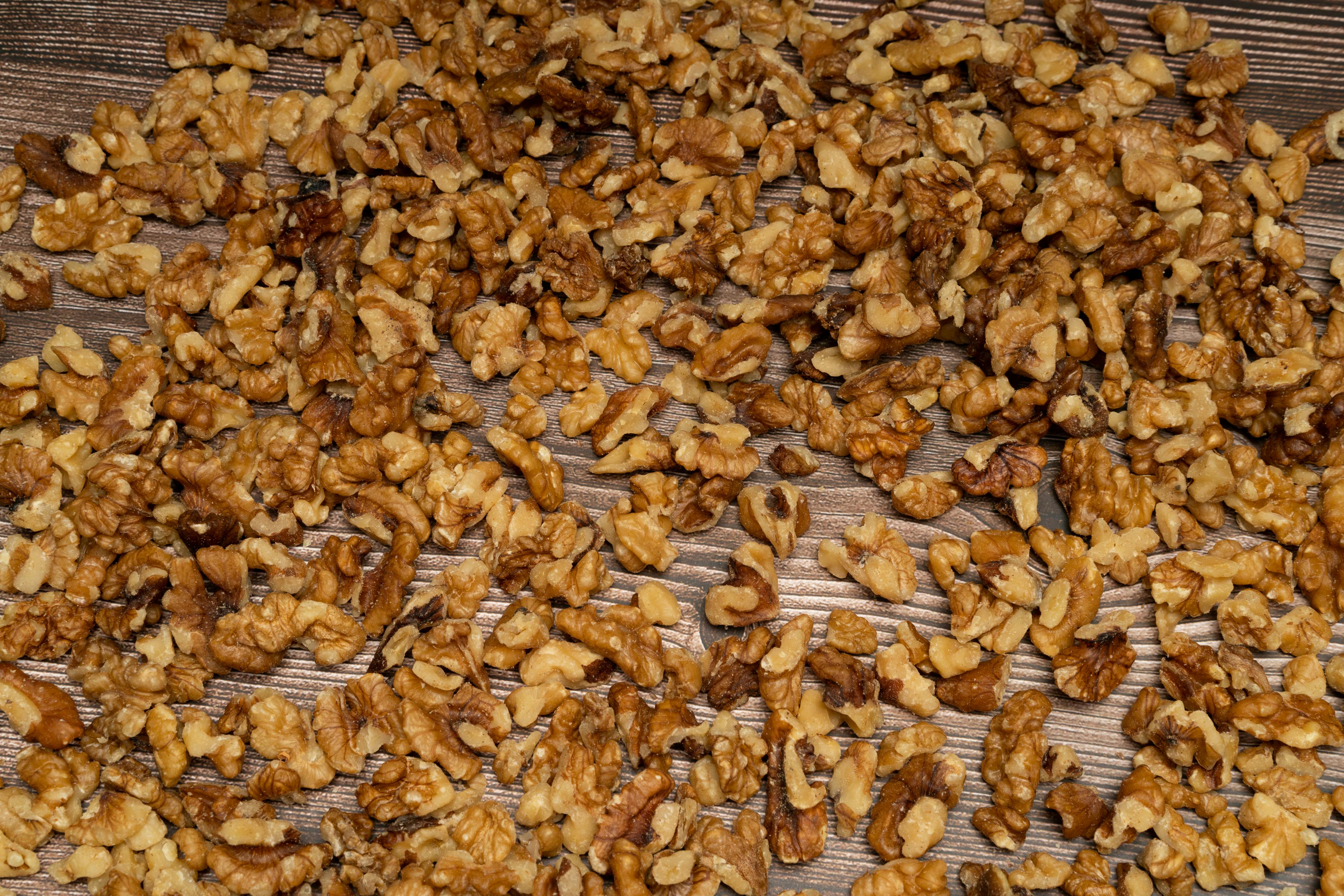 Nutty Putty Photos, Download The BEST Free Nutty Putty Stock Photos ...