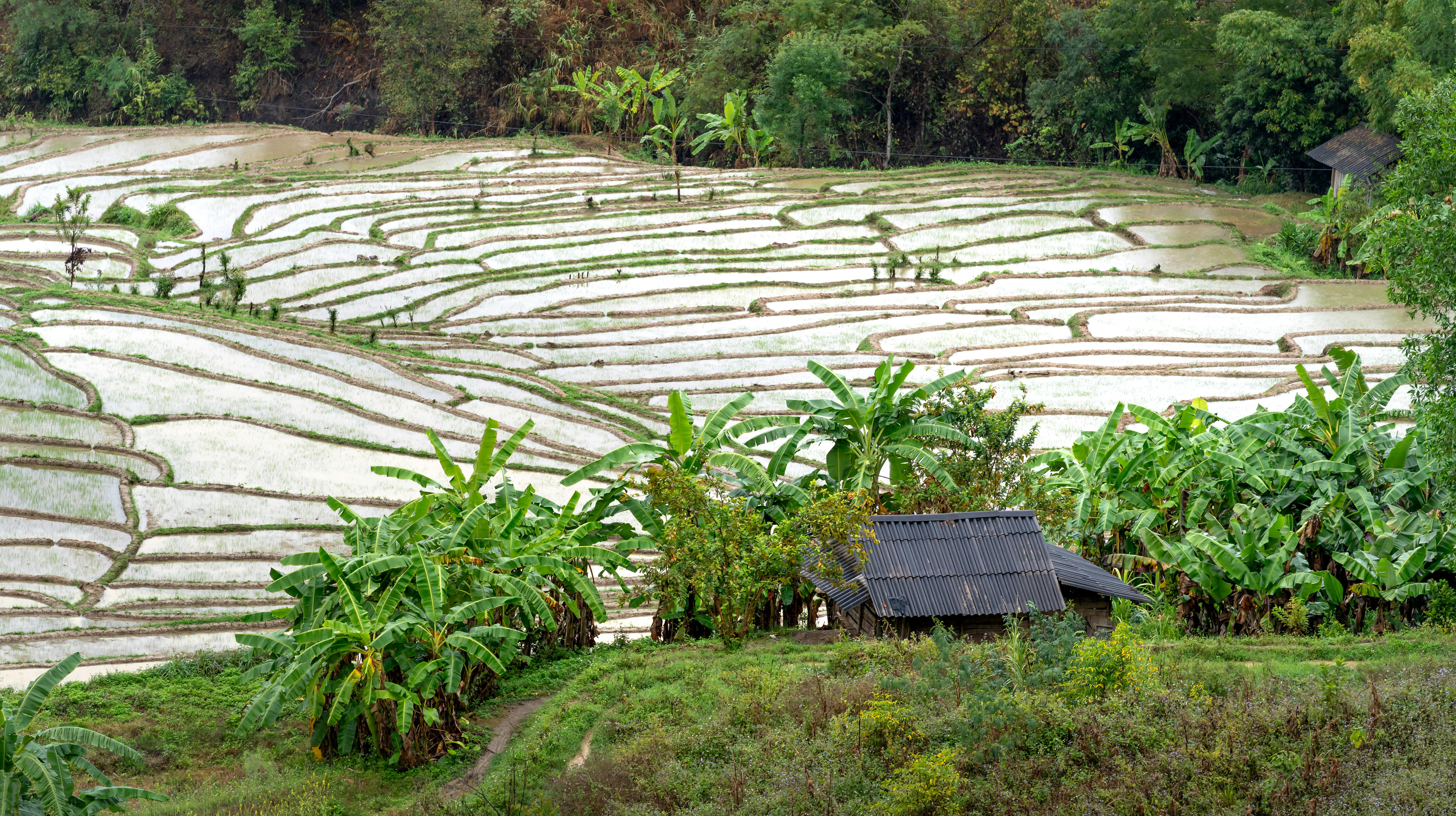 A House Near the Rice Terraces · Free Stock Photo
