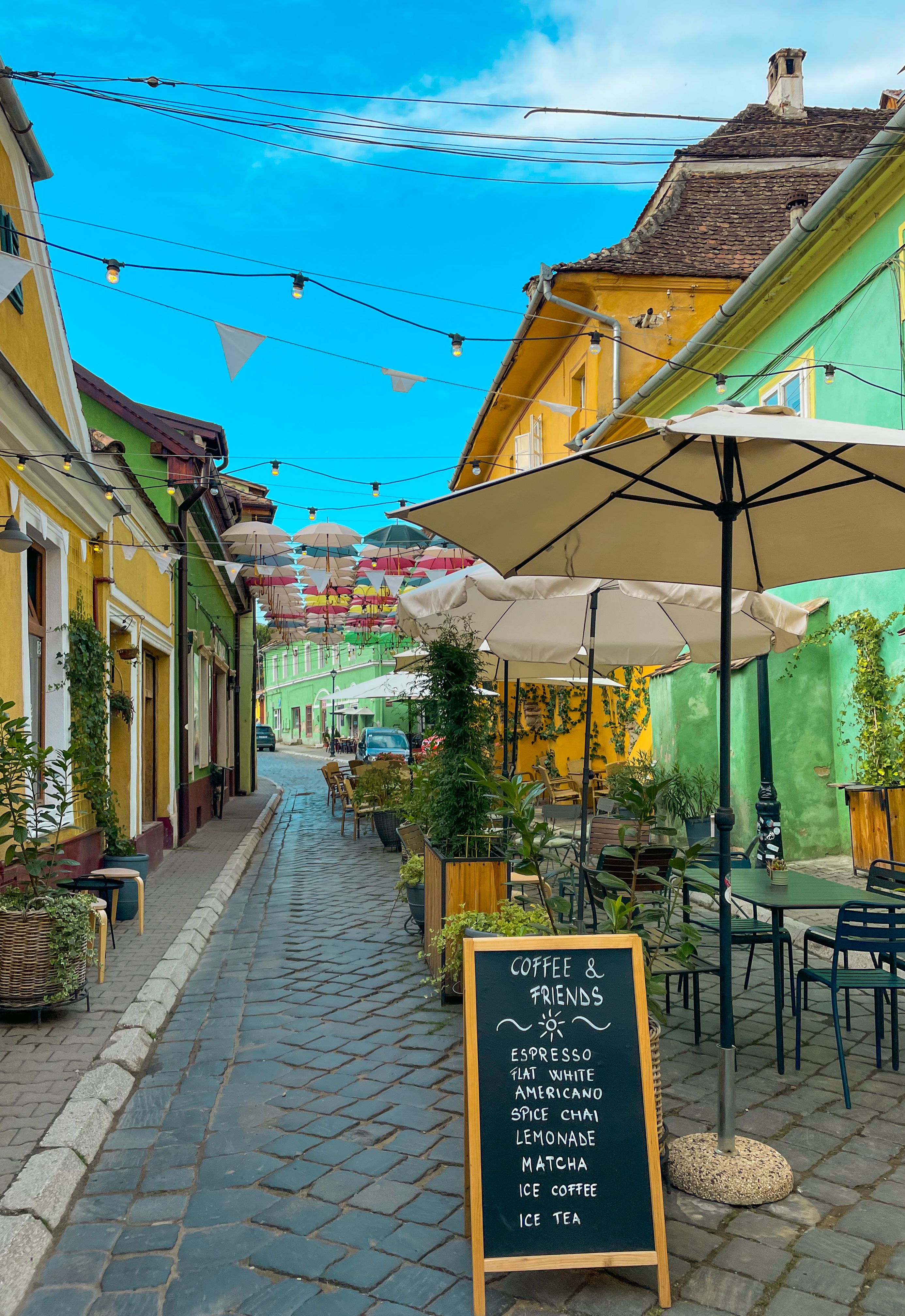 Cafe Rider Photos, Download The BEST Free Cafe Rider Stock Photos & HD ...