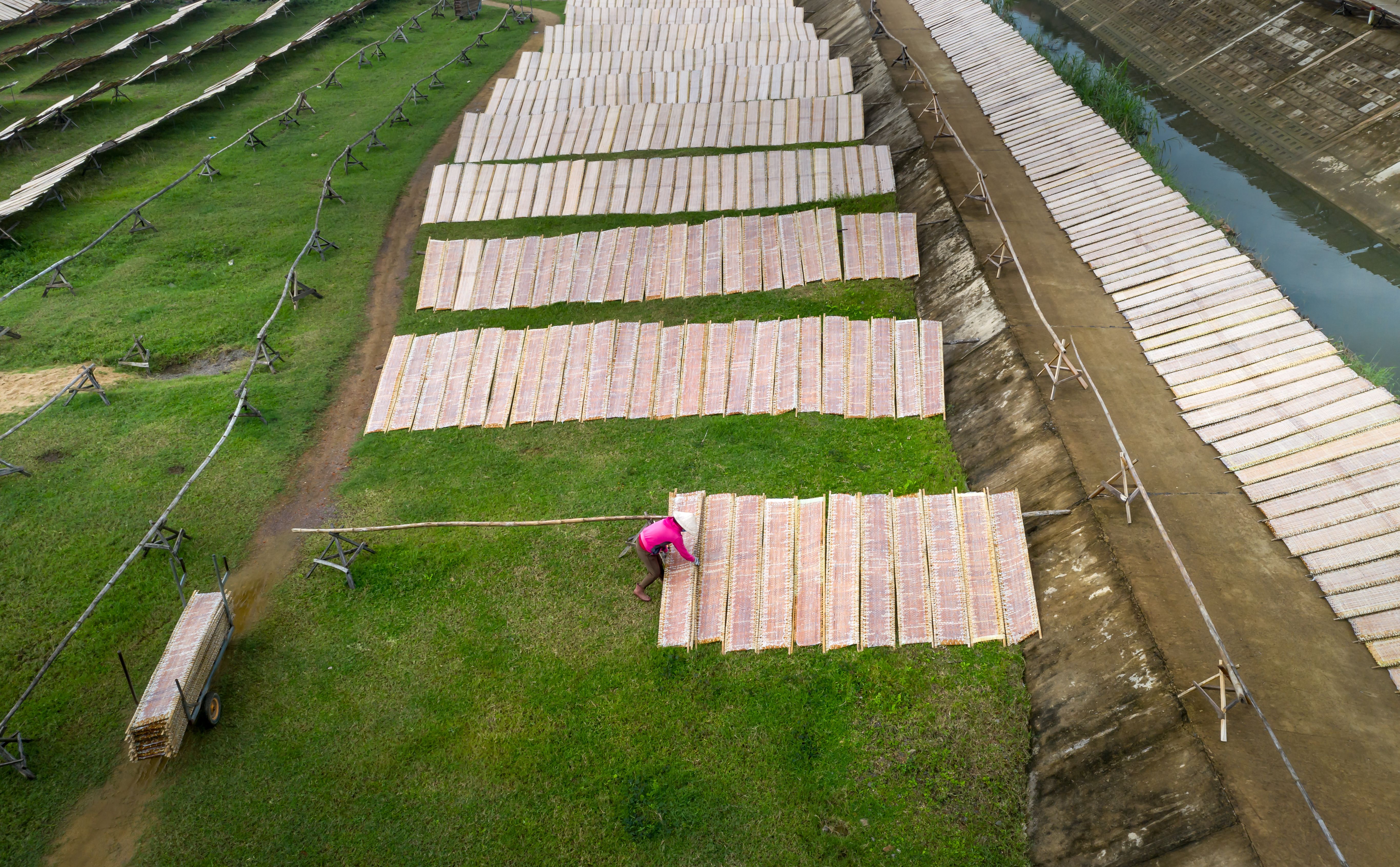 Paddy Field With Alternate Wetting And Drying Tube Photos, Download The ...
