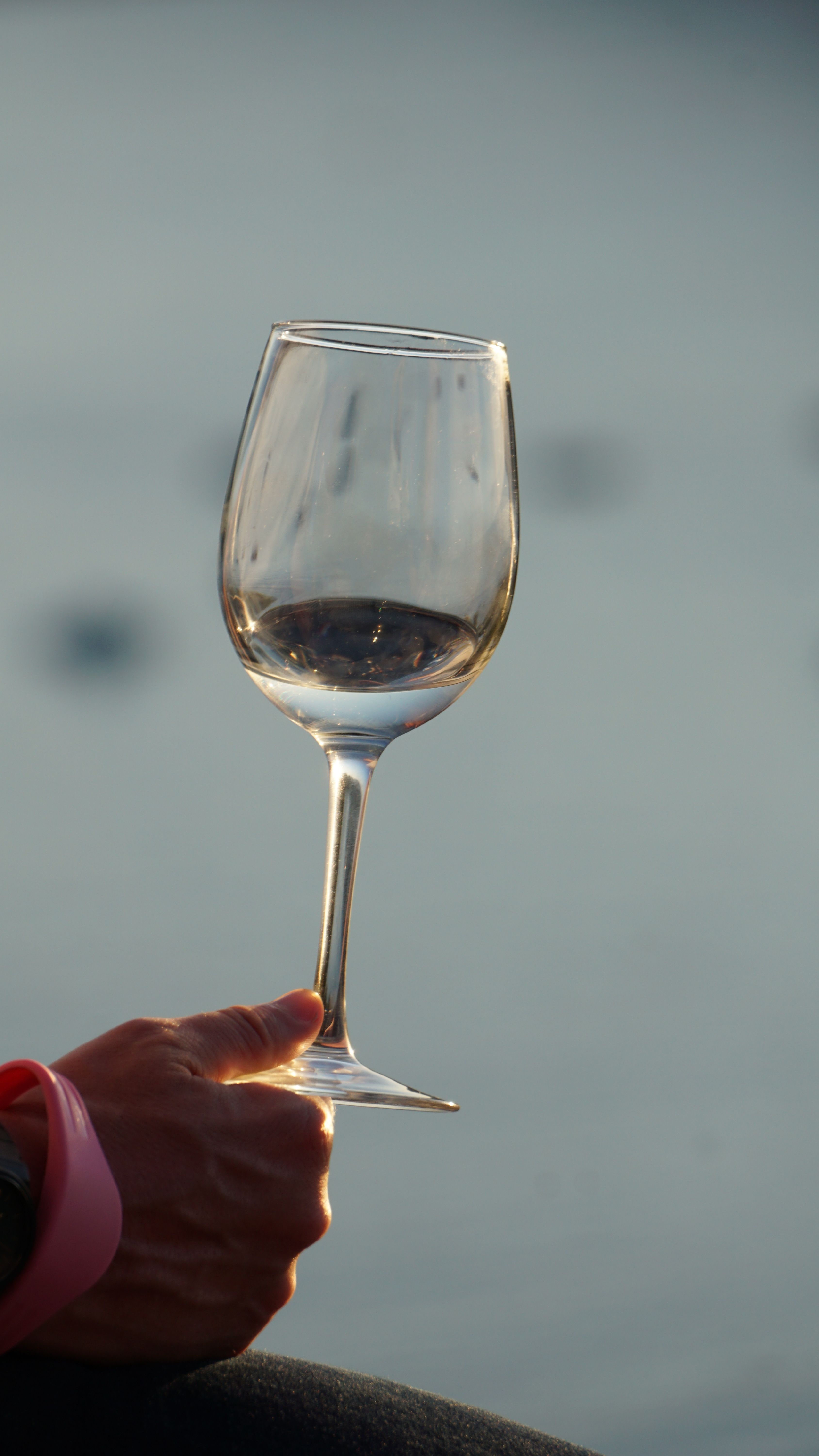 Person Holding a Wine Glass · Free Stock Photo