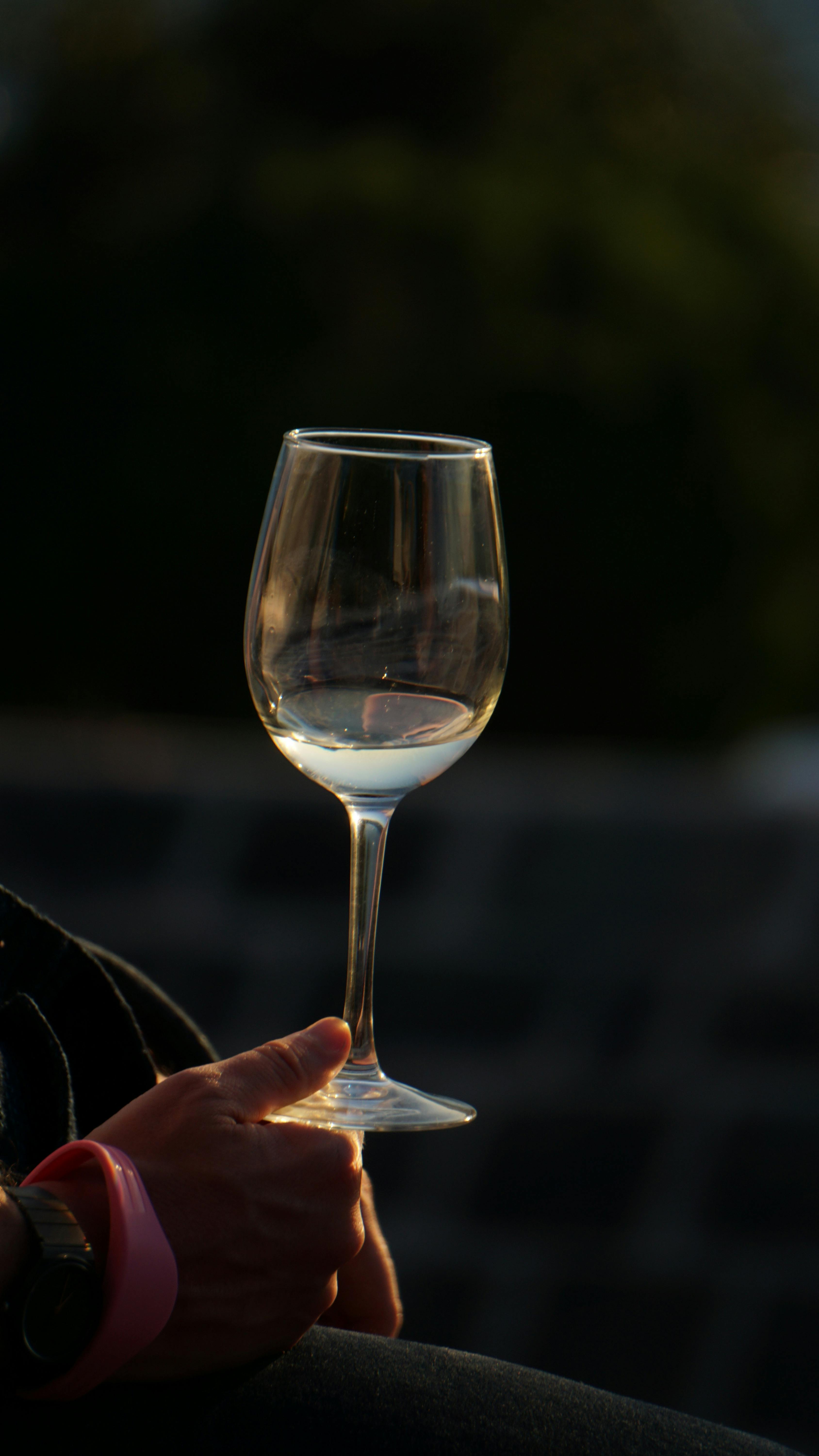 Person Holding a Wine Glass · Free Stock Photo