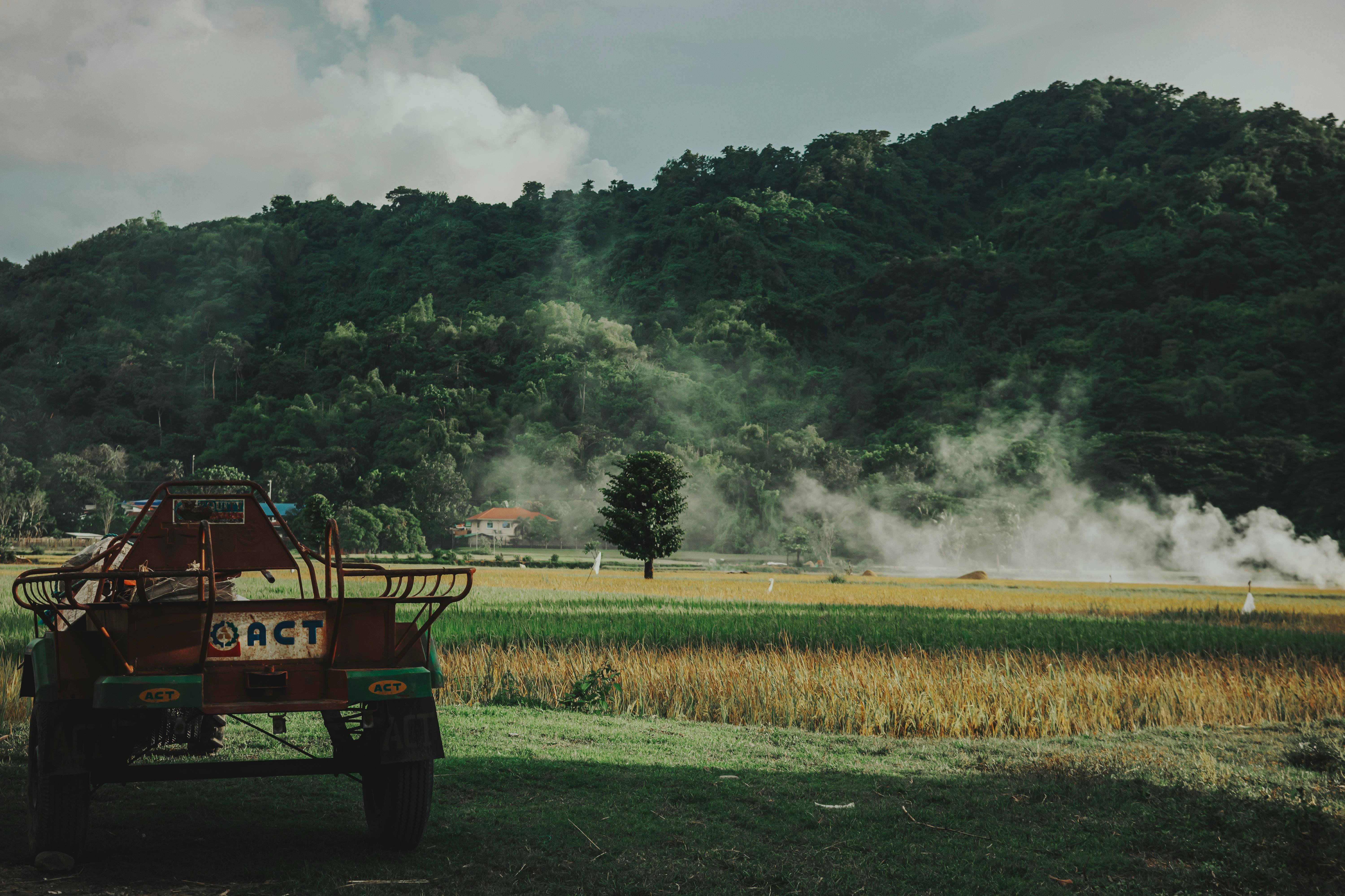 Smoke Farm Photos, Download The BEST Free Smoke Farm Stock Photos & HD ...