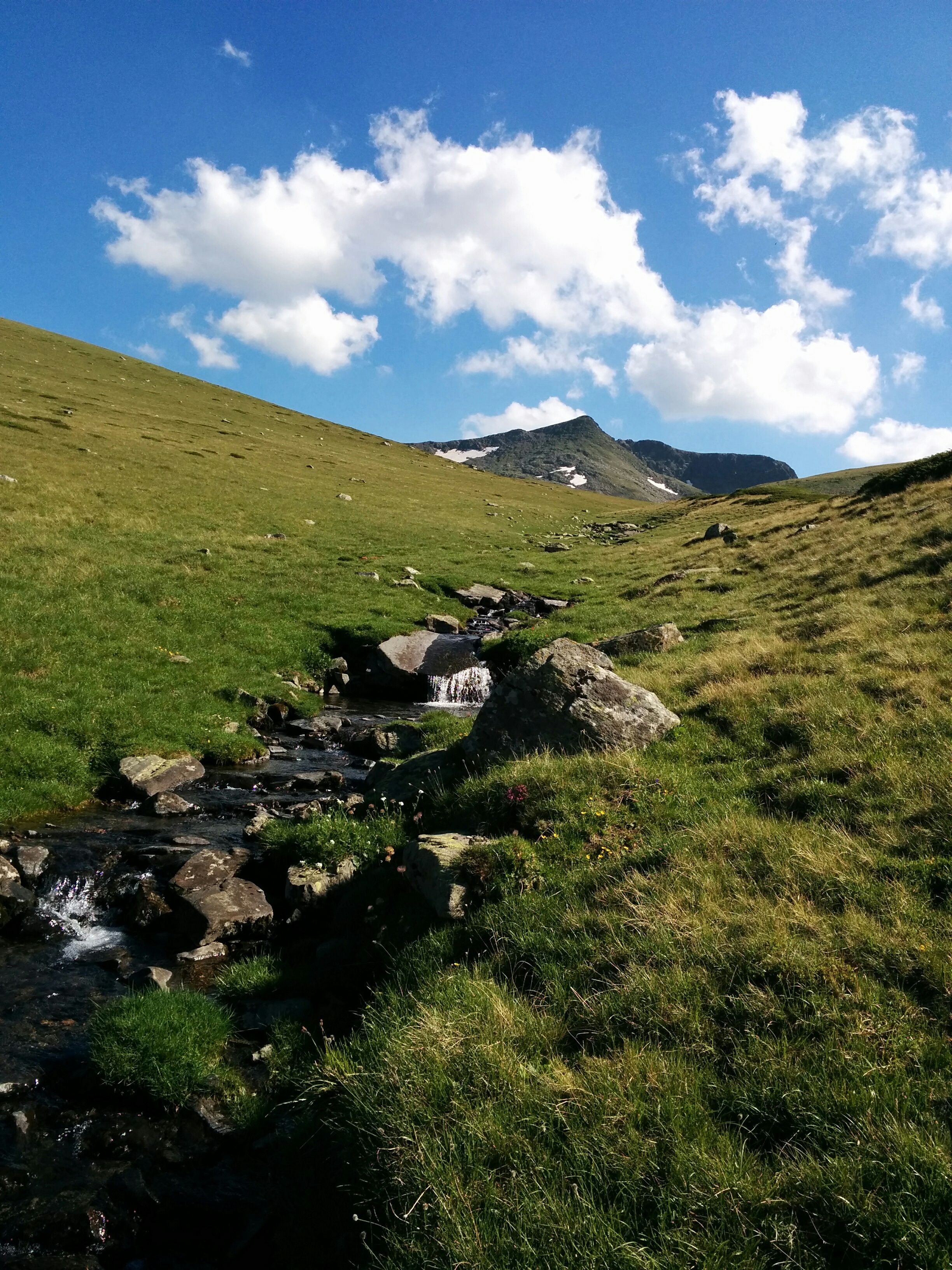 Rocks around Stream on Grassland · Free Stock Photo