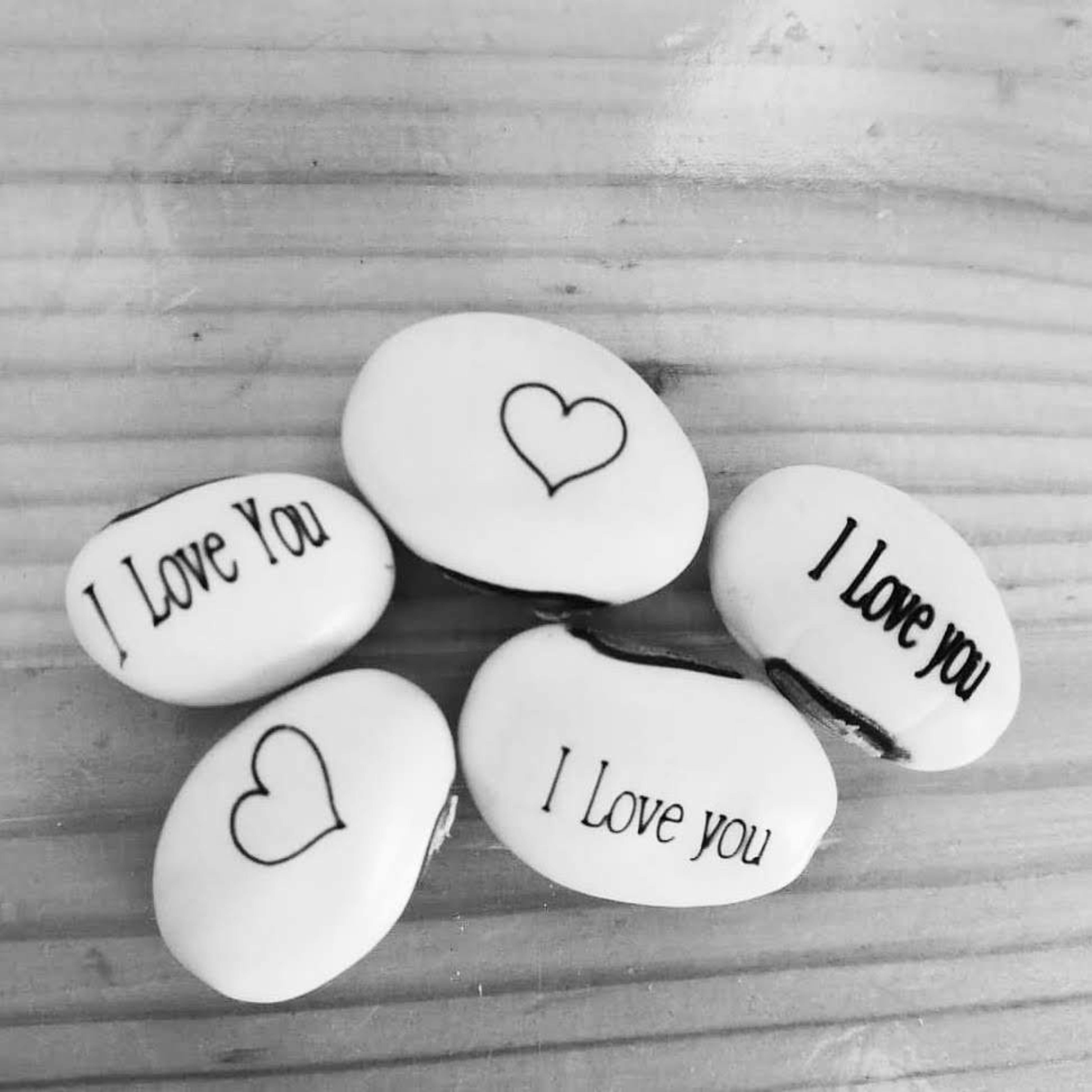 Antal Dávid - Photographie