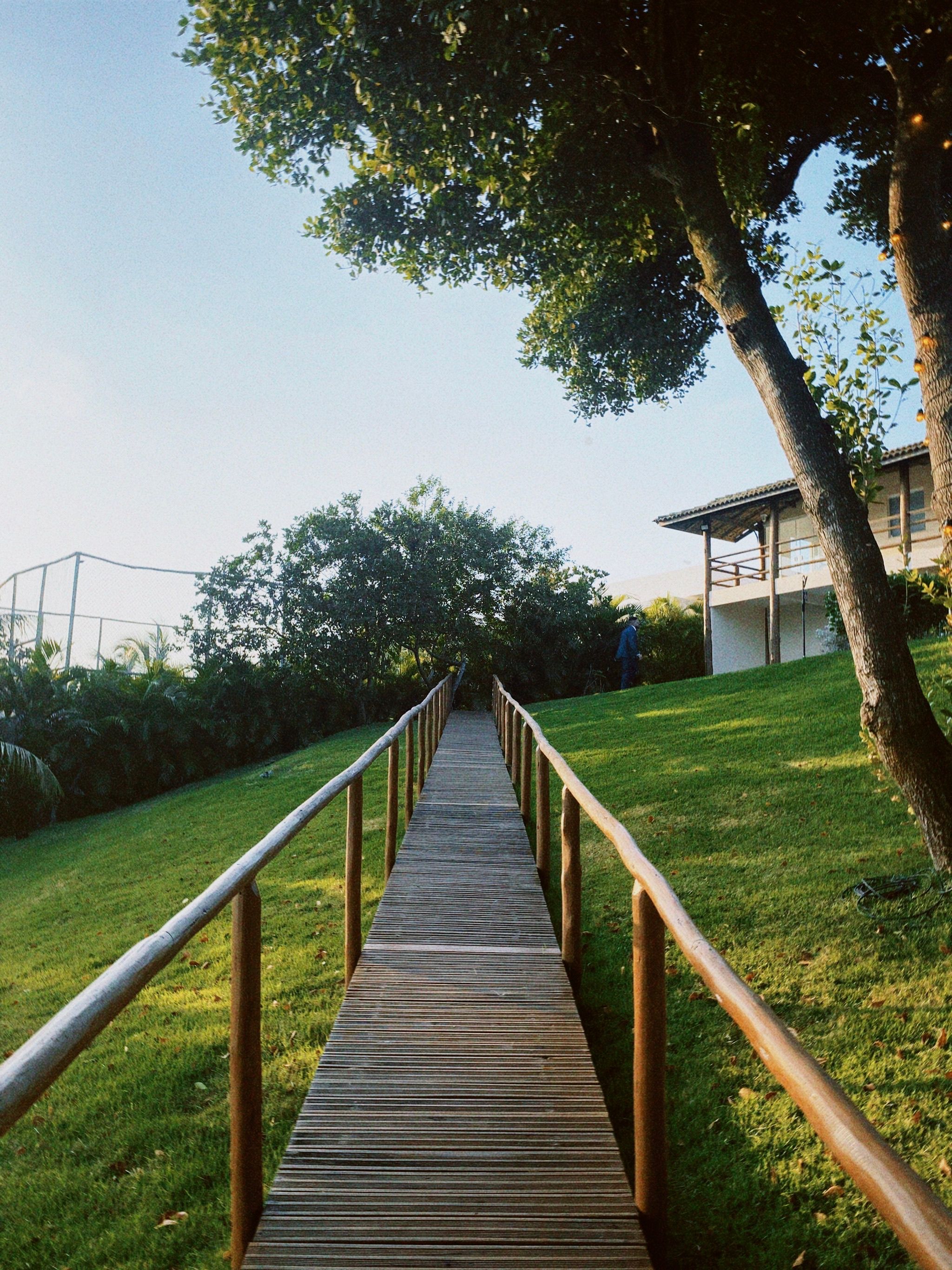Boardwalk on Hillside · Free Stock Photo