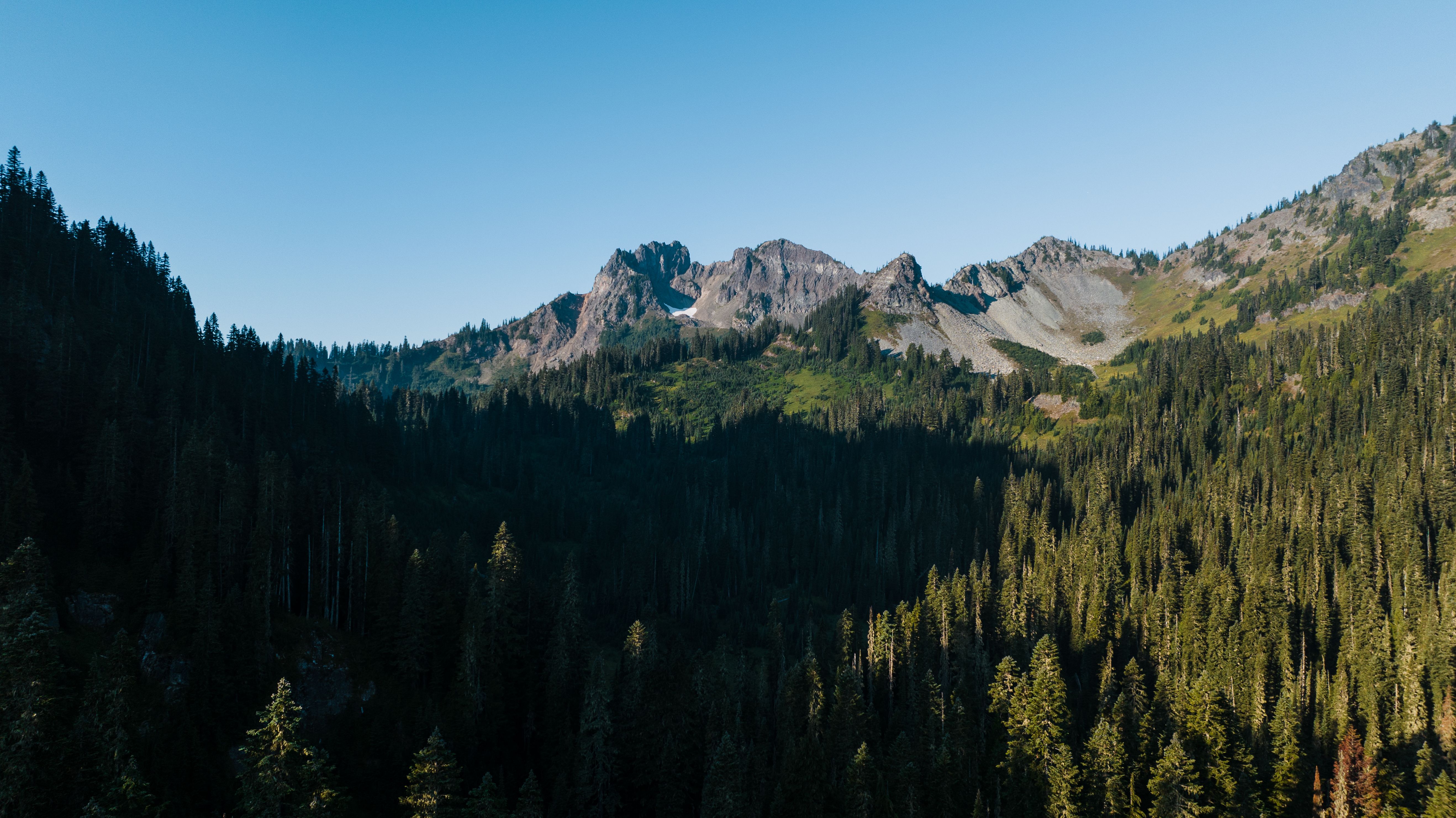 Landscape Photography of Mountain With Trees · Free Stock Photo