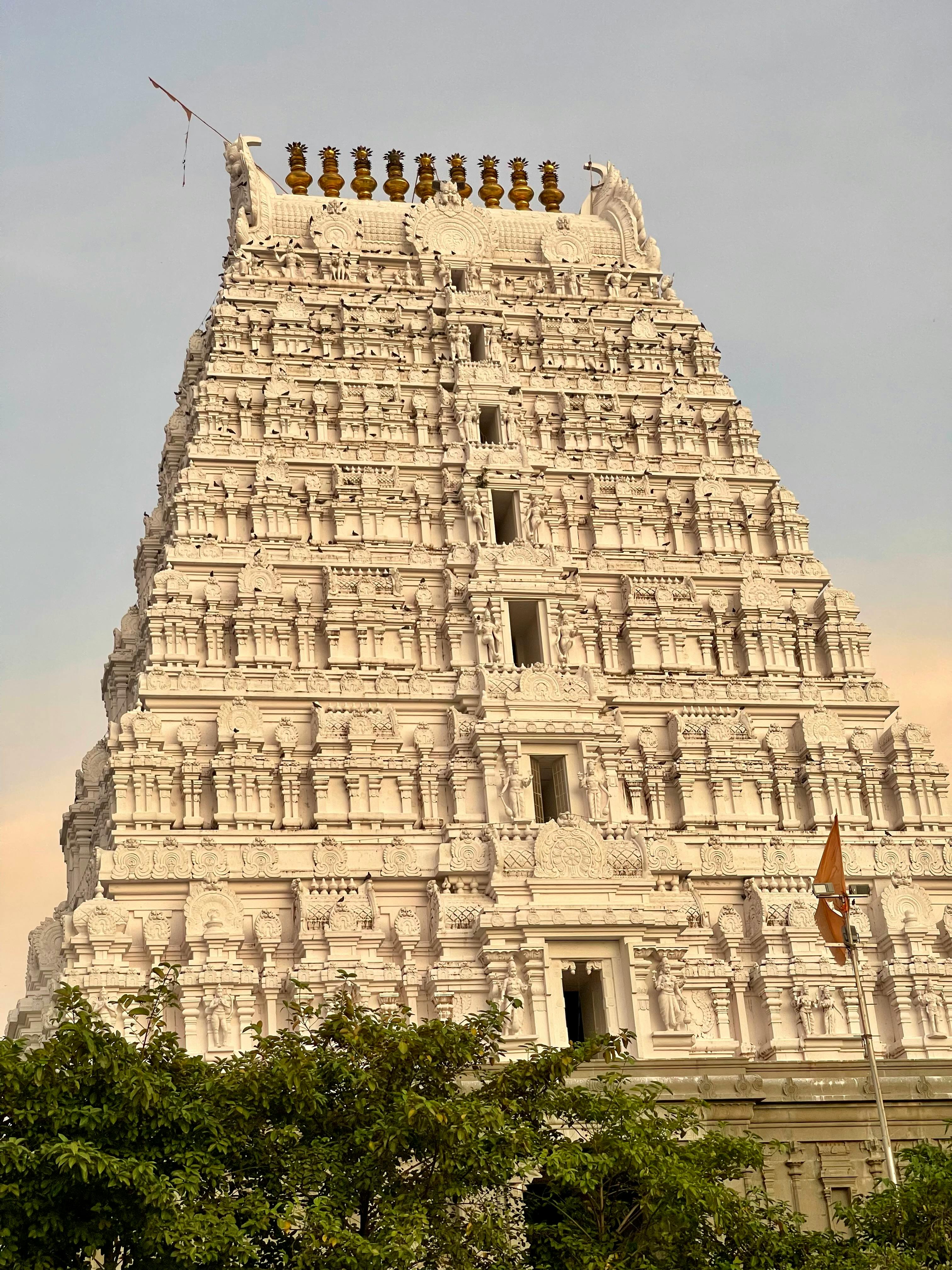 Anirudh Challa - Photography