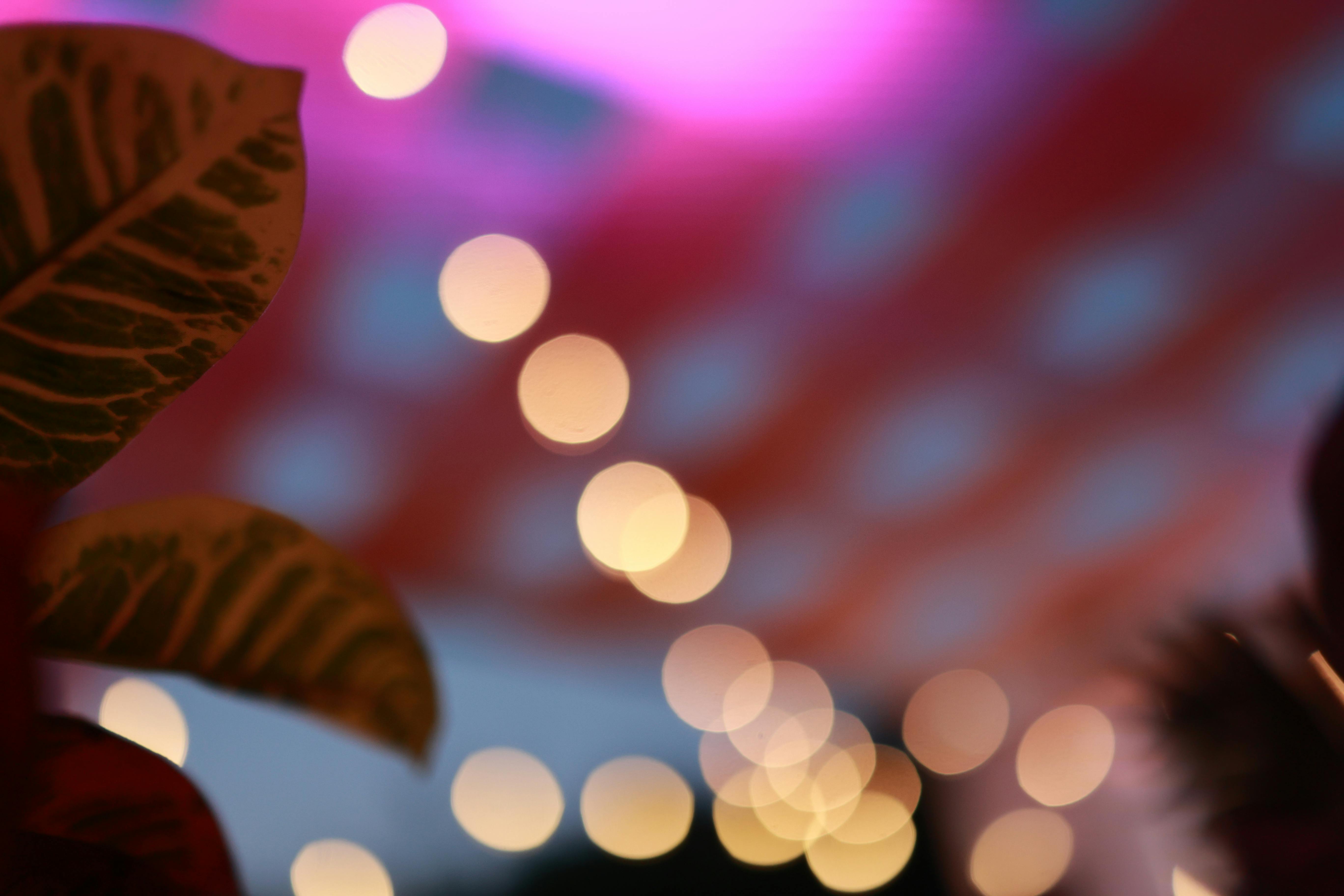 Vimal Raj – Fotografie