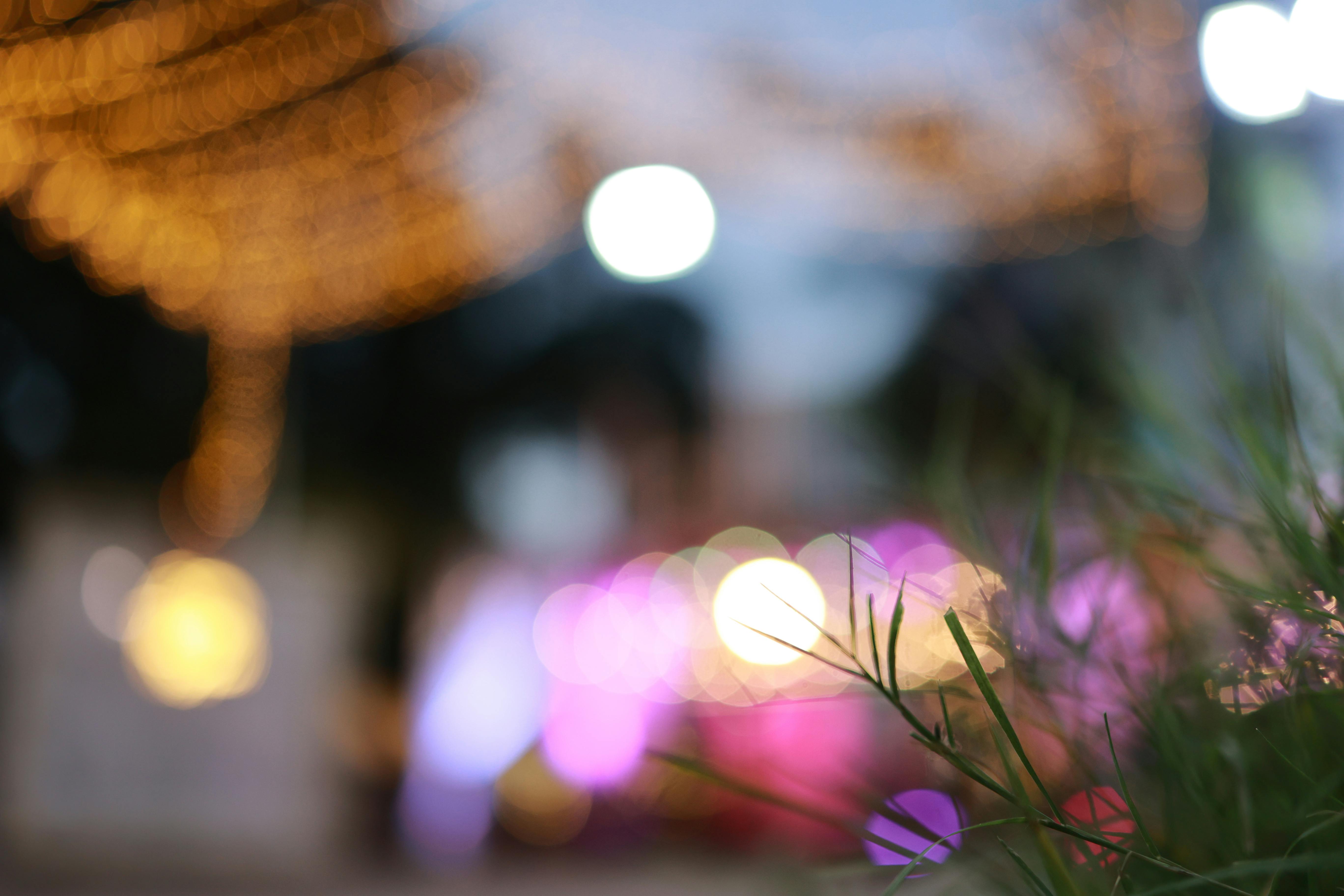 Vimal Raj – Fotografie