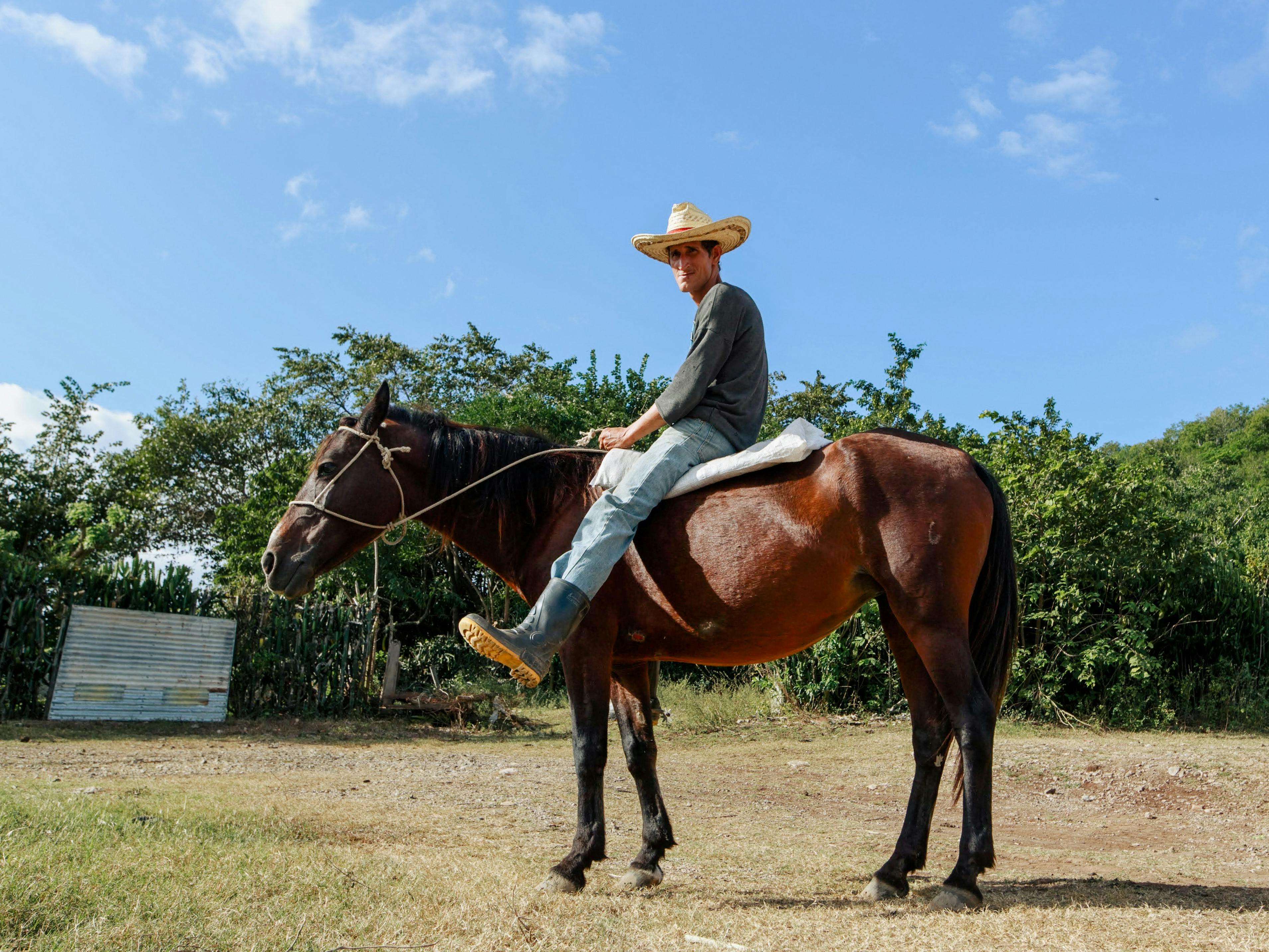 Man Riding a Brown Horse · Free Stock Photo