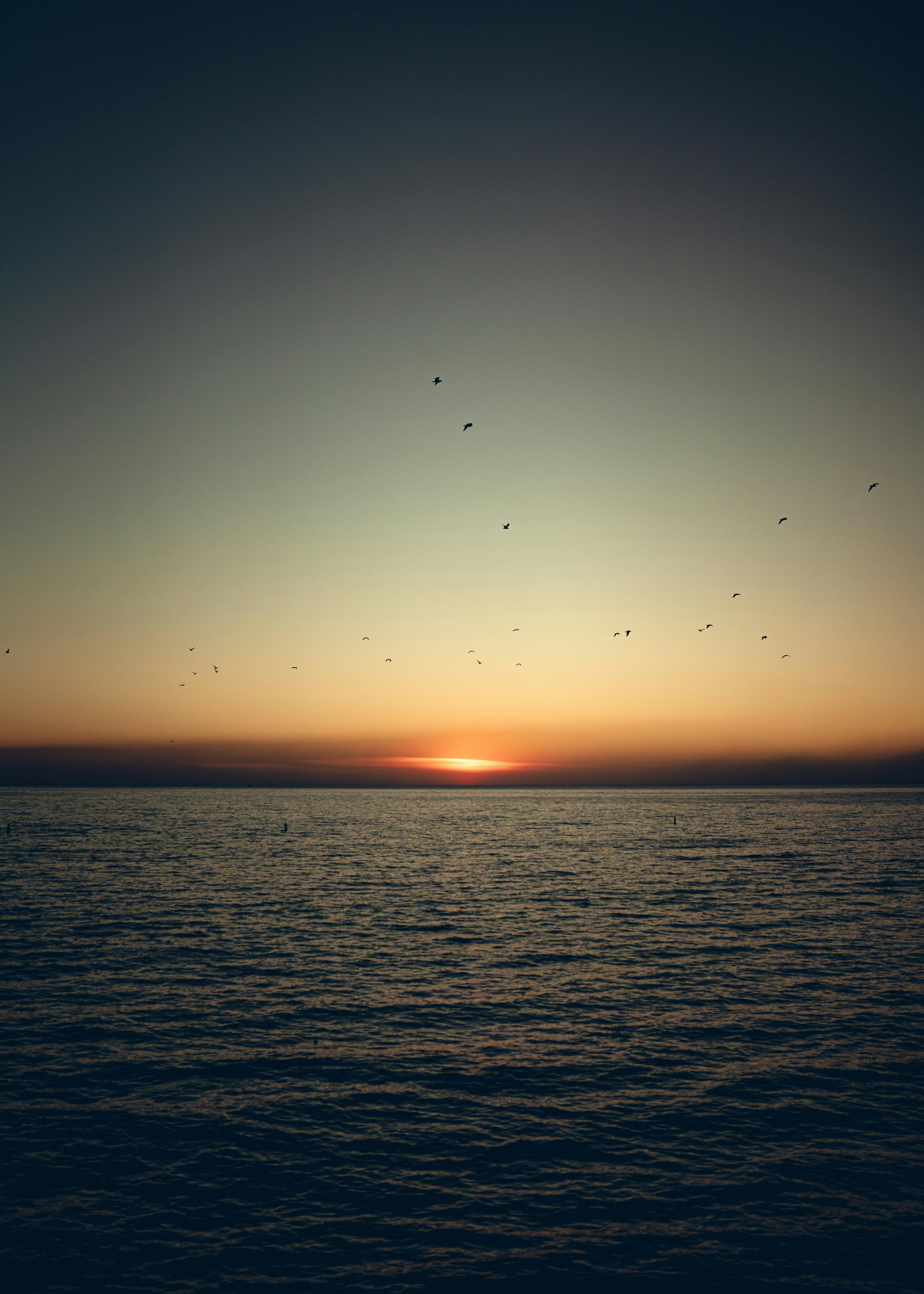 Body of Water during Dusk · Free Stock Photo