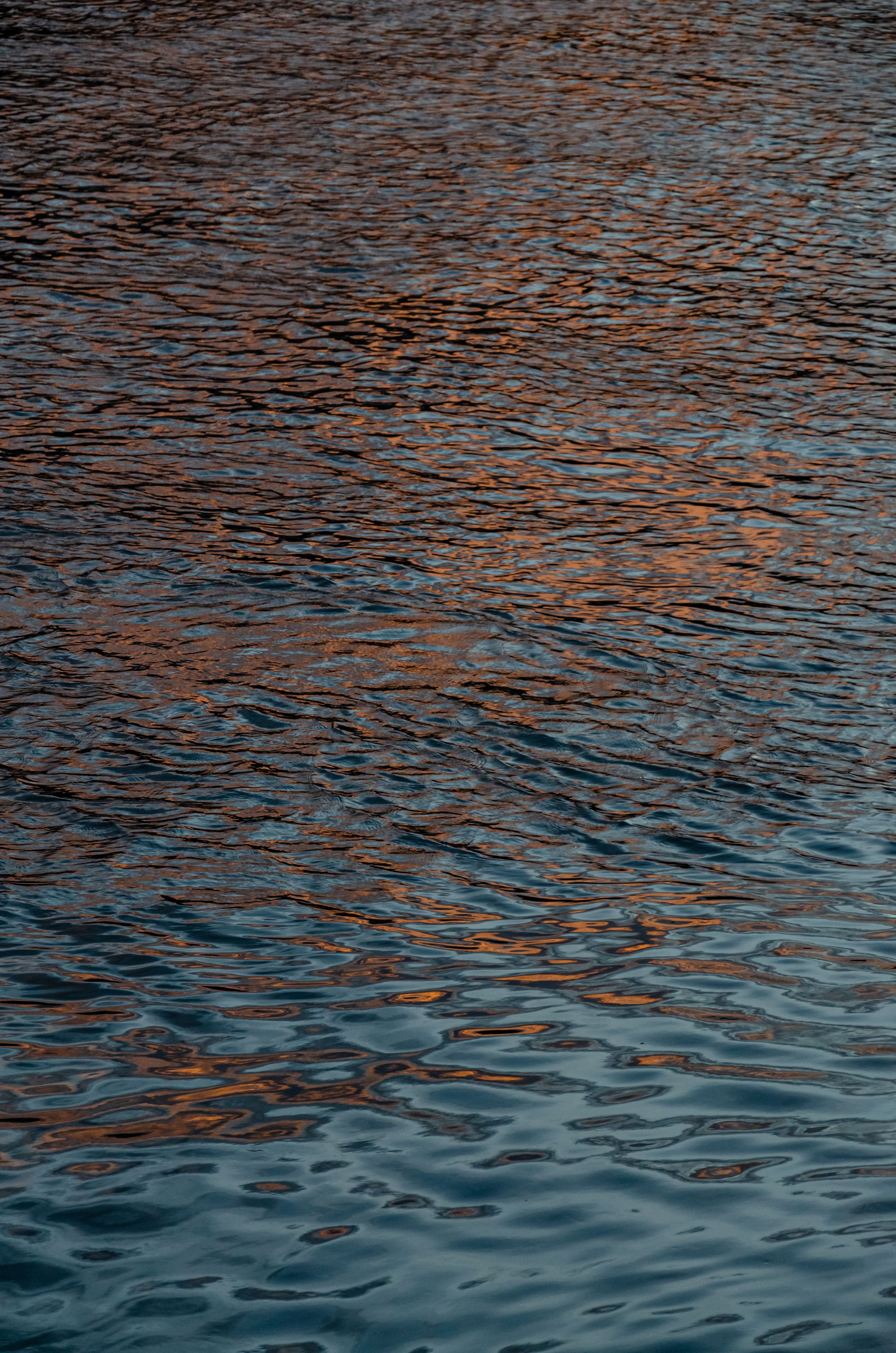 Surface of a Body of Water · Free Stock Photo