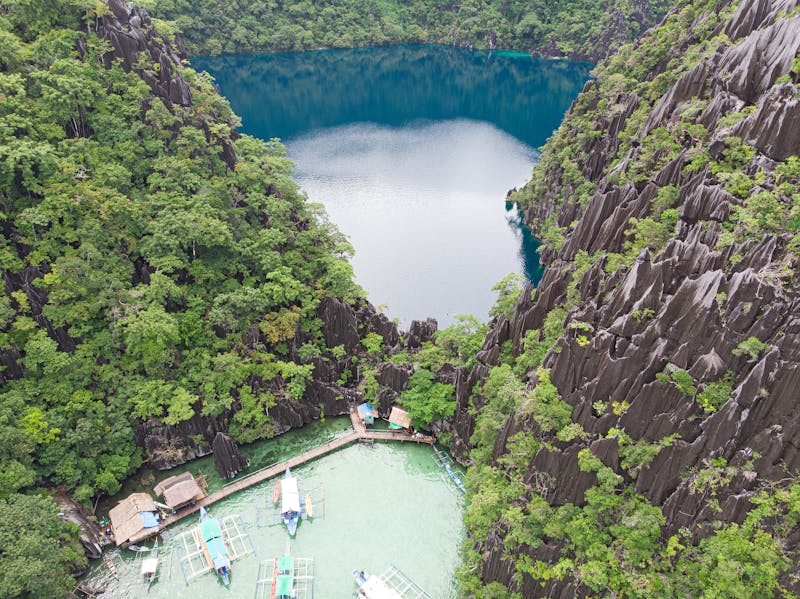 Diving in Palawan: A Beginner's Guide to Exploring Underwater Paradise ...