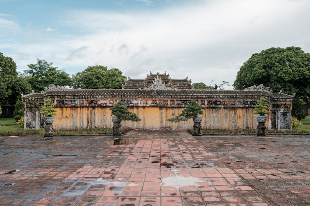 Ornamental Trees North Carolina for Wildlife and Beauty