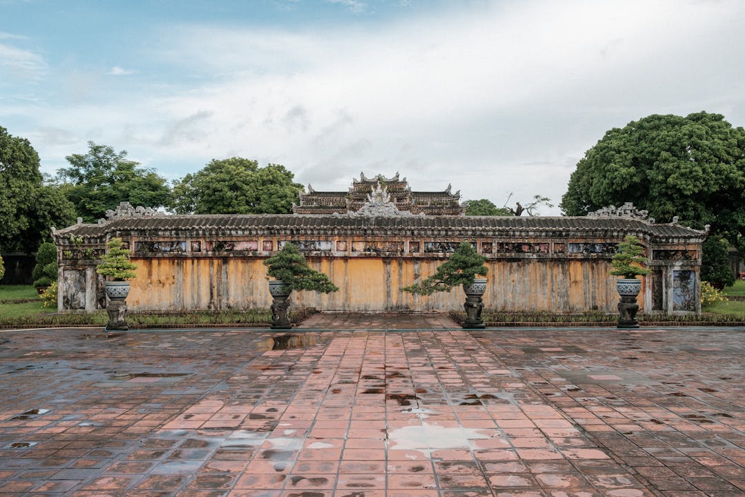 Types of Ornamental Trees for Beautiful Landscape Design