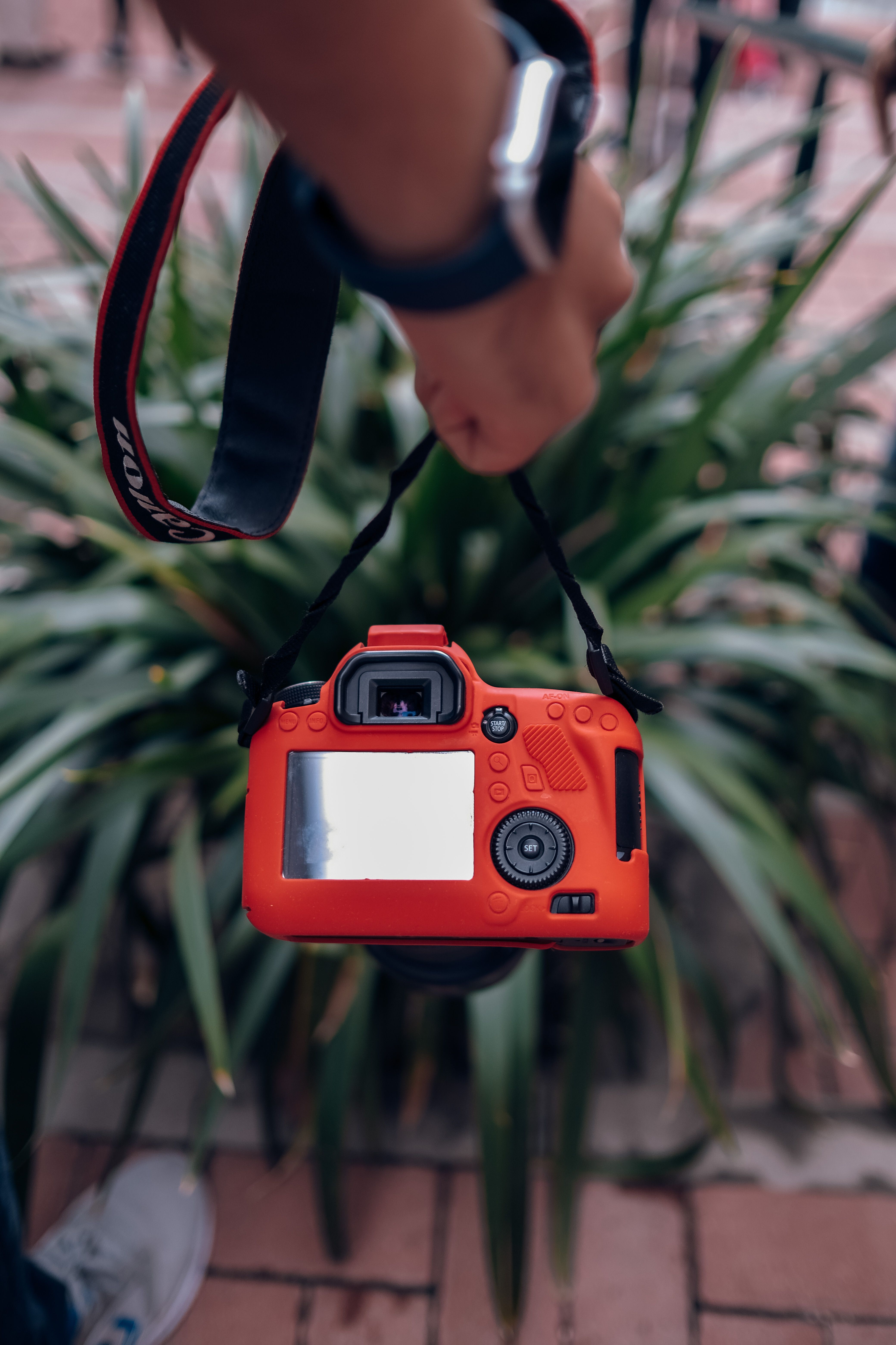 A Person Holding a Camera Strap · Free Stock Photo